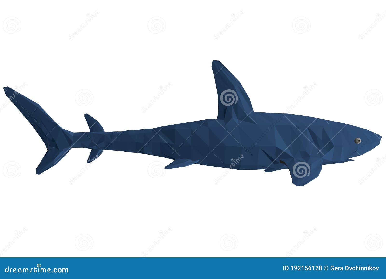 Low Poly Blue Shark. 3D. Side View Stock Vector - Illustration of flat ...