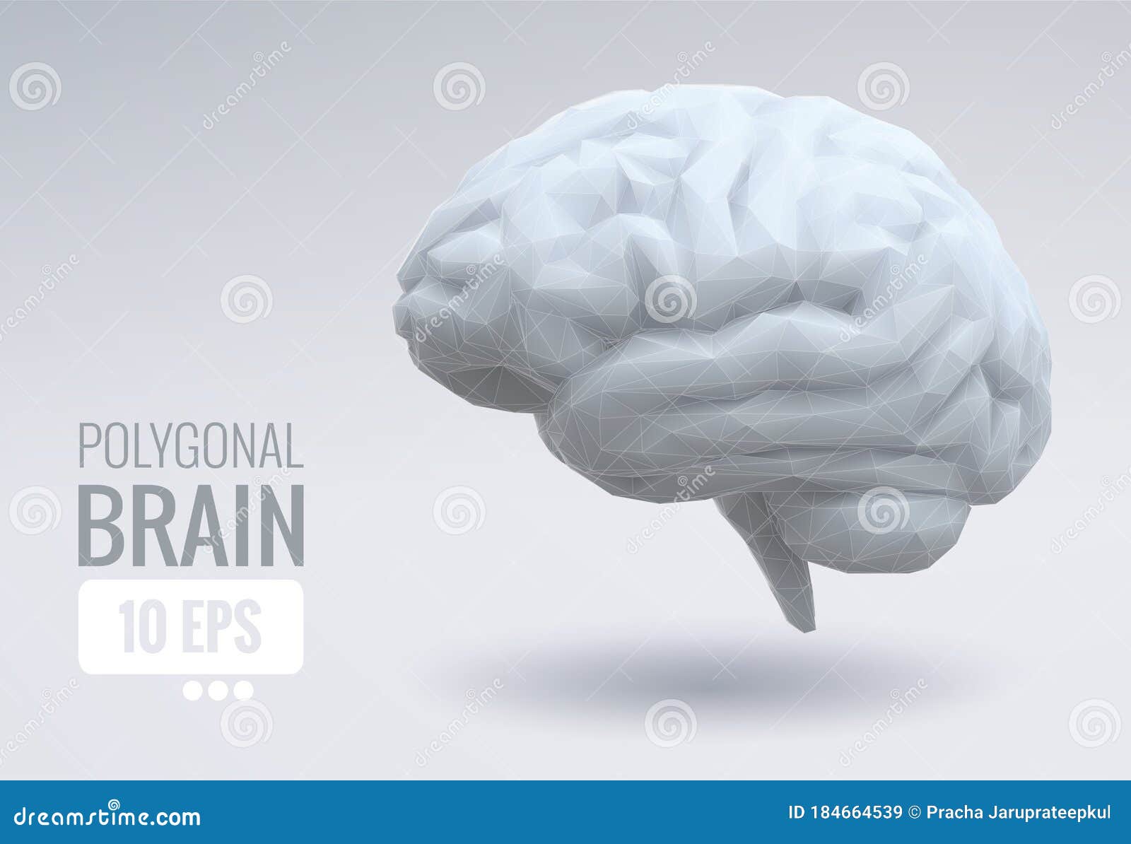 Low Poly Brain Illustration on White Template Color Tone Stock Vector ...