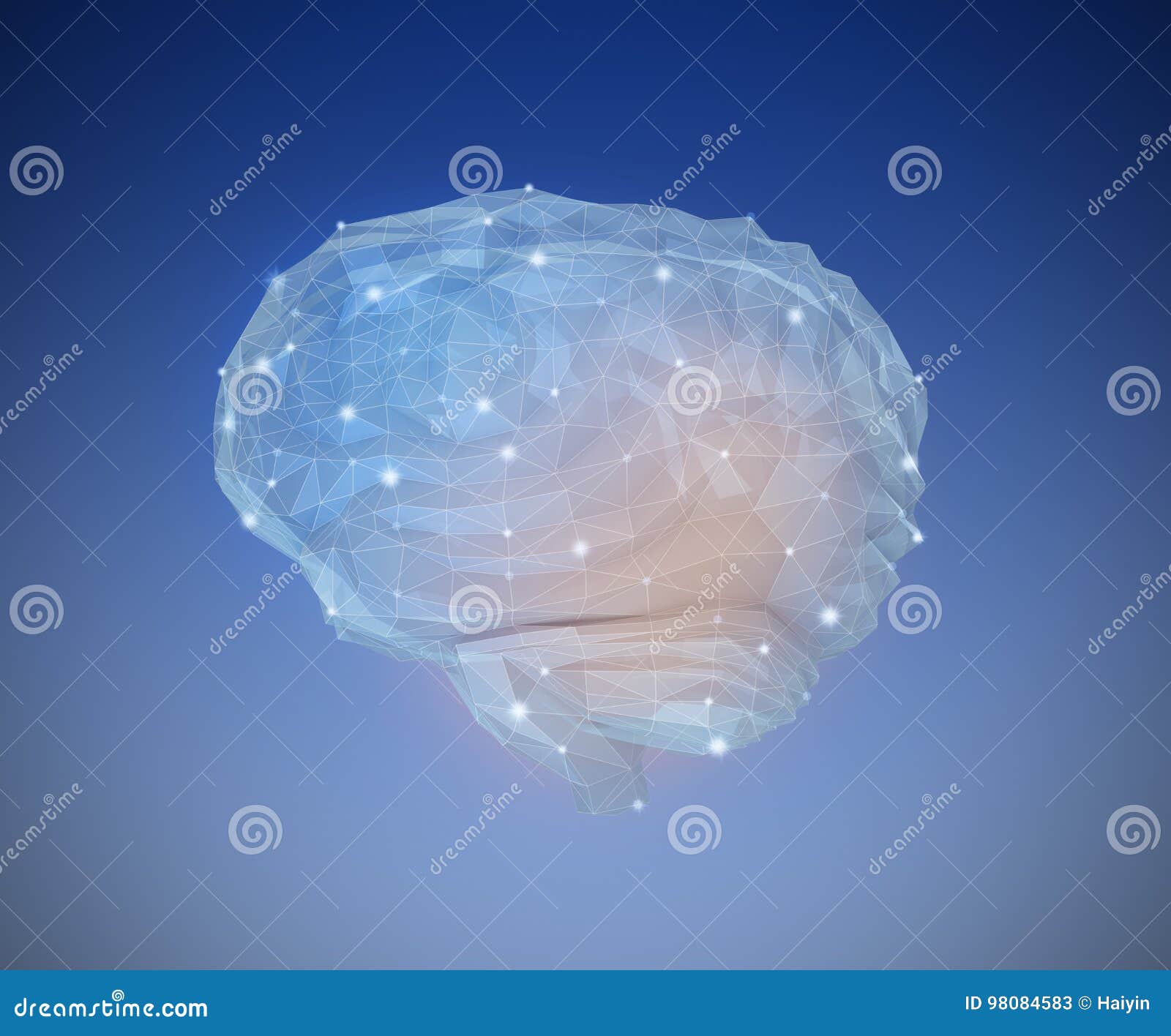 Low Poly Brain Model with Wireframe Isolated on Dark Blue Background ...