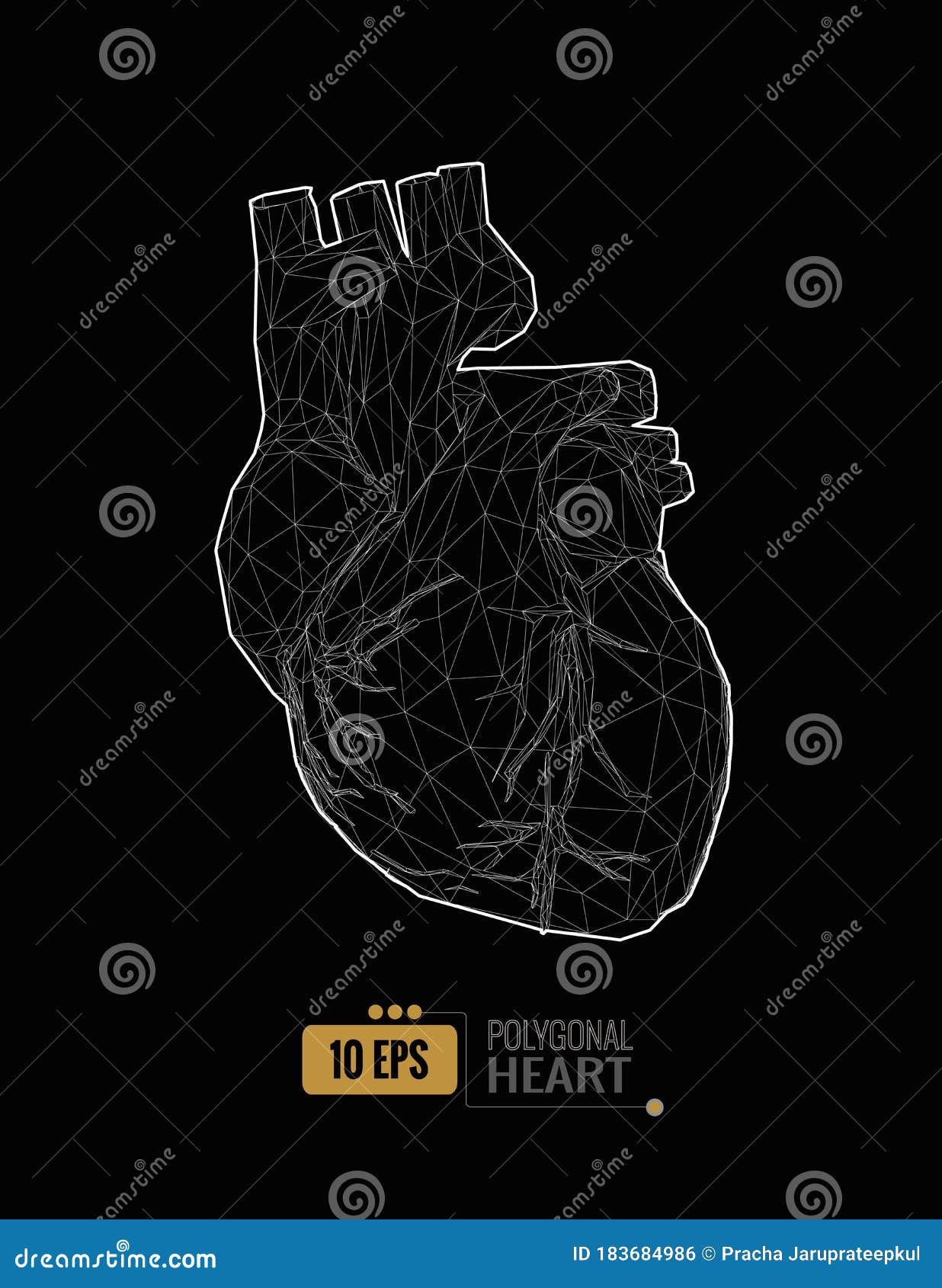 Low Poly Human Heart Wireframe Graphic Illustration on Dark BG Stock ...