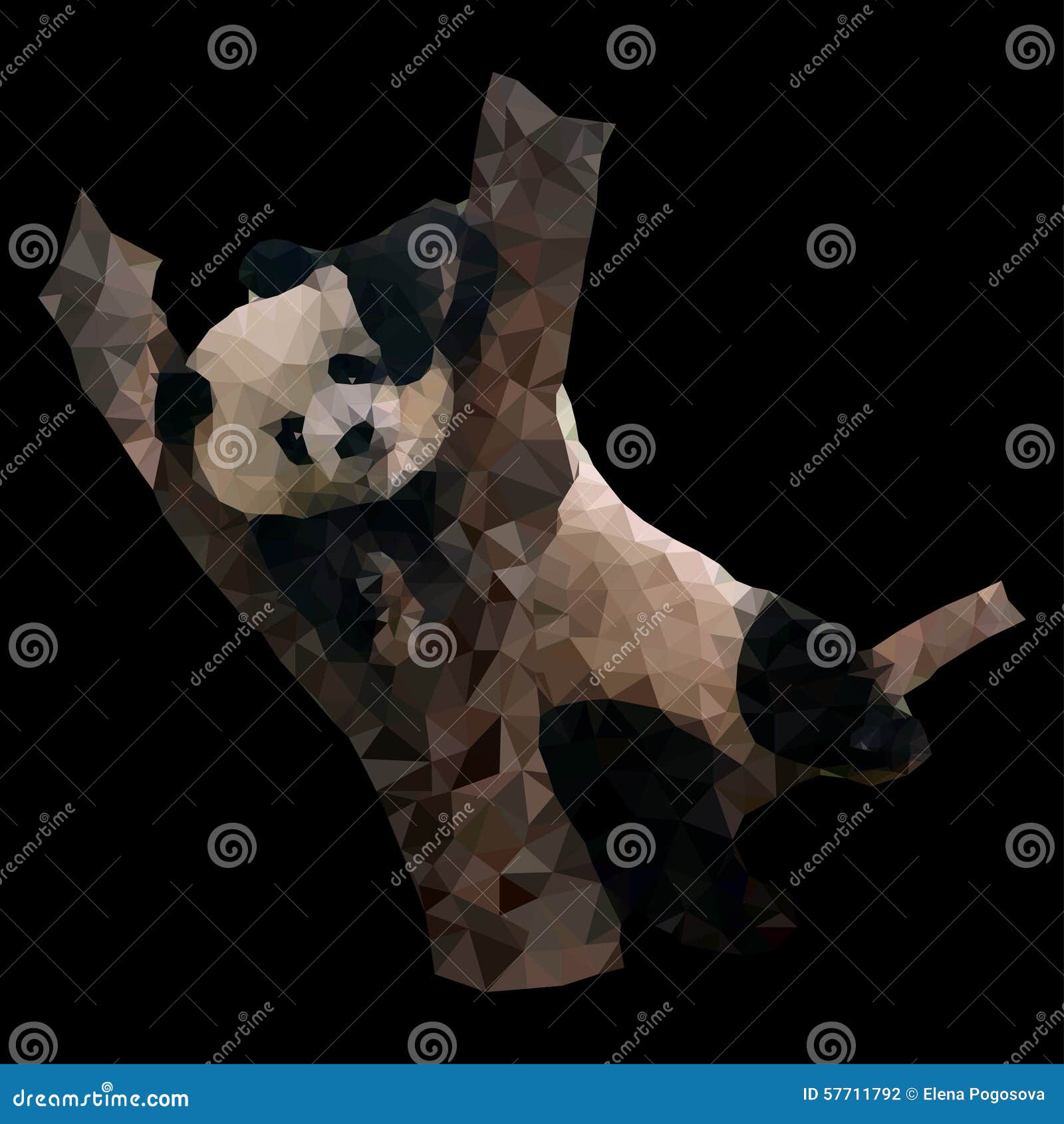 Low poly panda stock vector. Illustration of elegance - 57711792