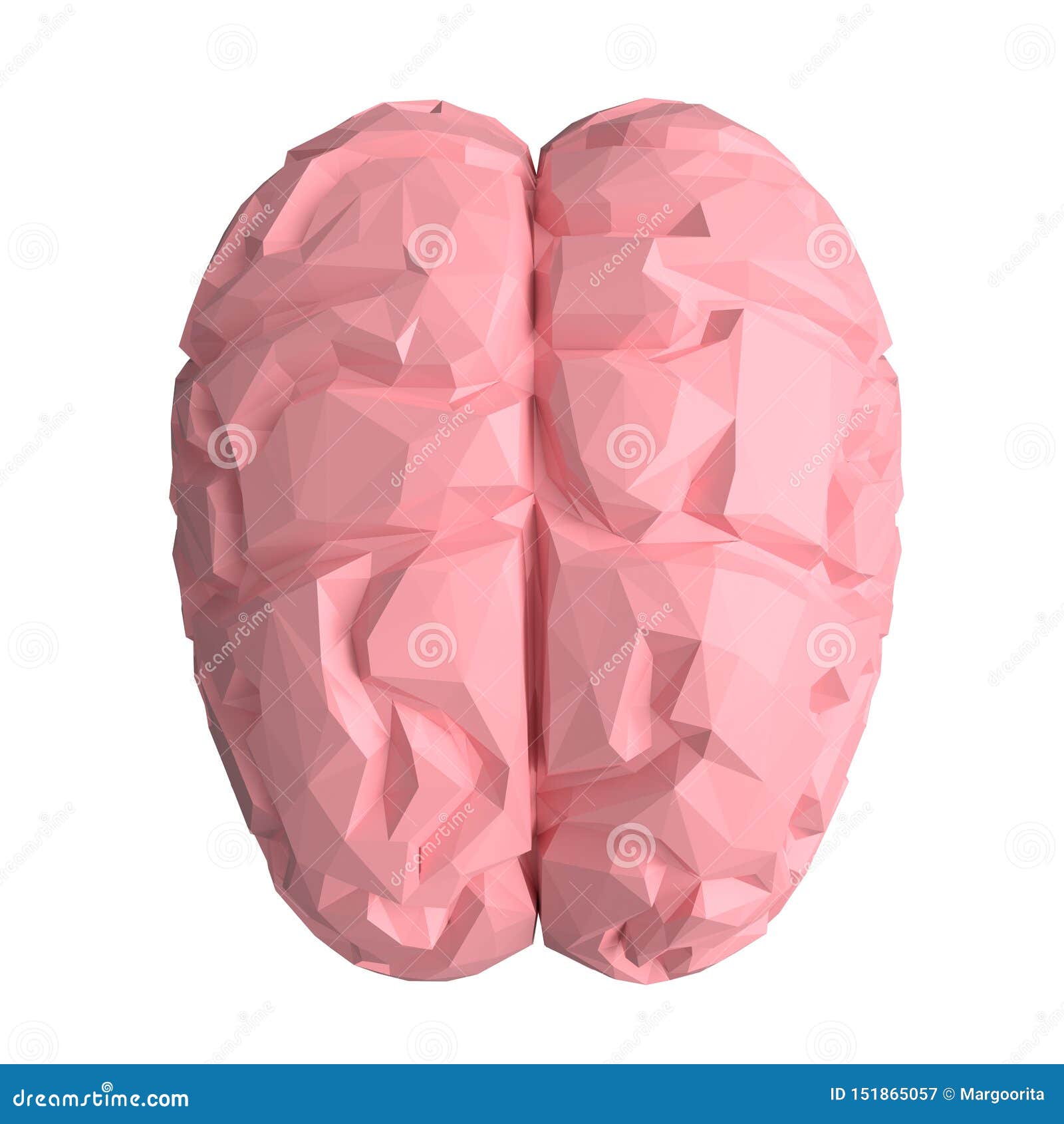 Low Poly Pink Human Brain. Top View. 3d Rendering Stock Illustration ...