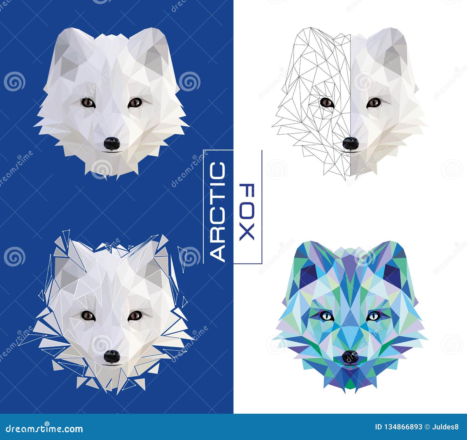 Low poly portrait of fox stock vector. Illustration of mammals - 134866893