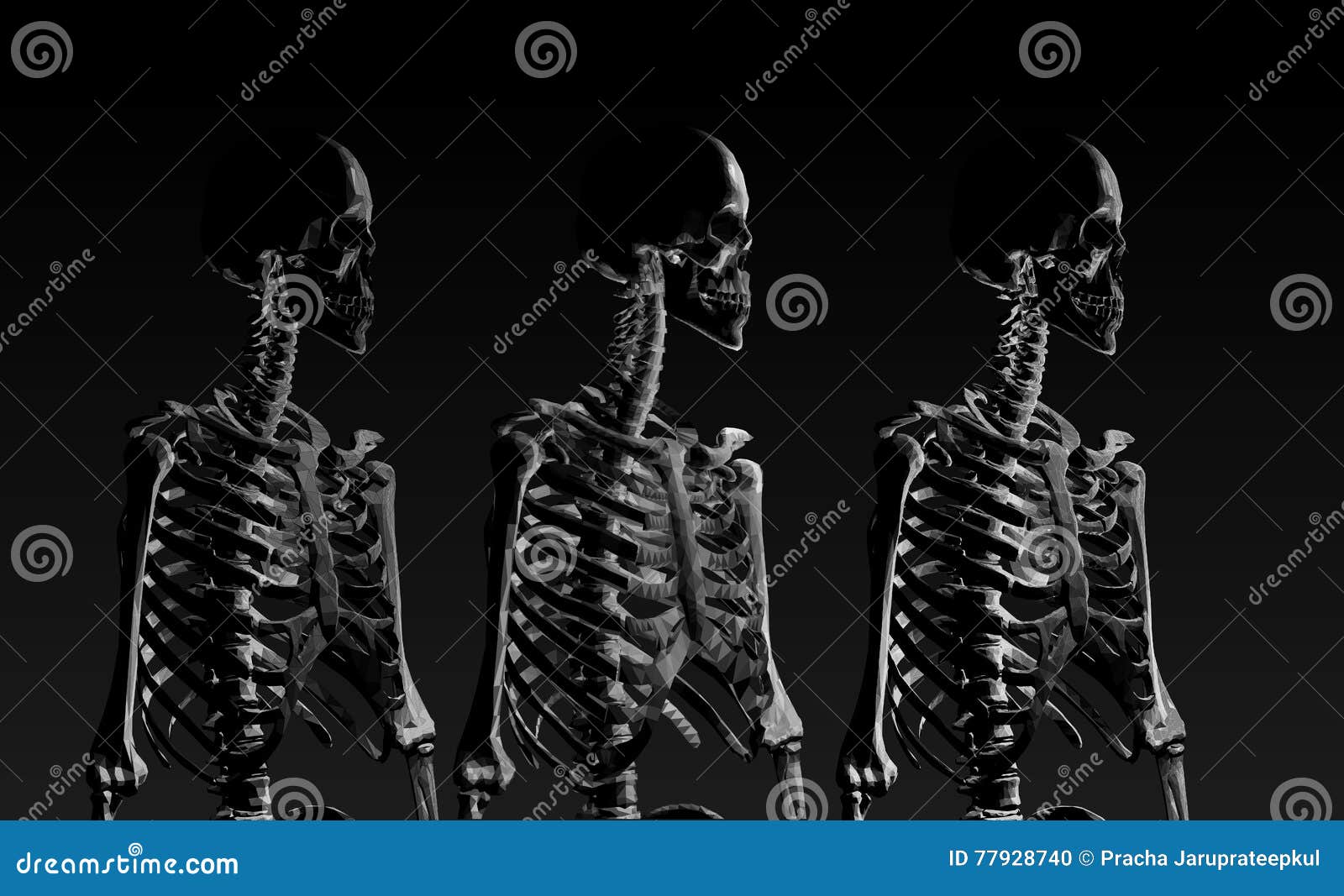 Low Poly Skeleton Portrait Side View in Low Key Lighting Stock Vector ...