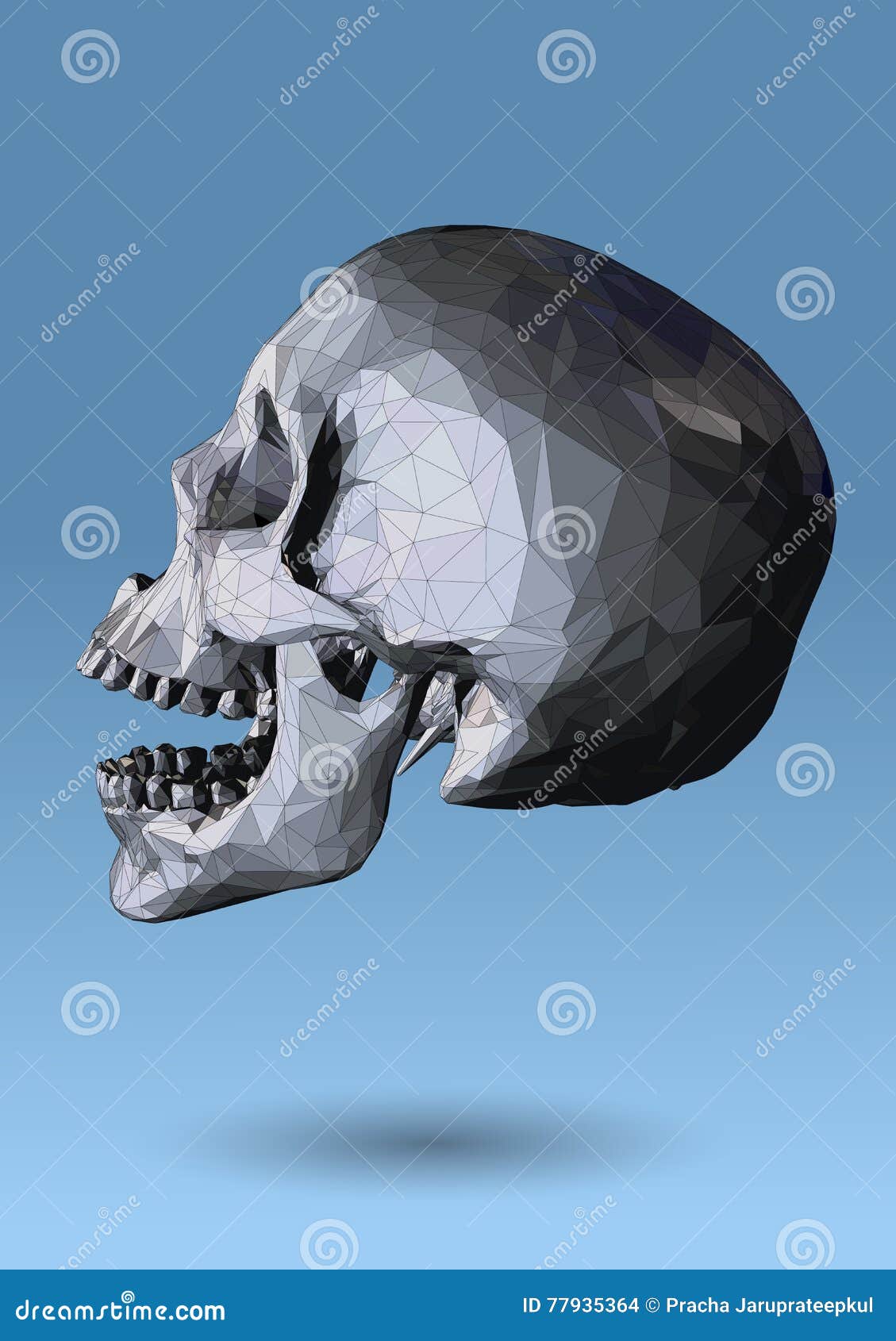 Skull From The Side In The Old Book D`Anatomie Chirurgicale, By B ...