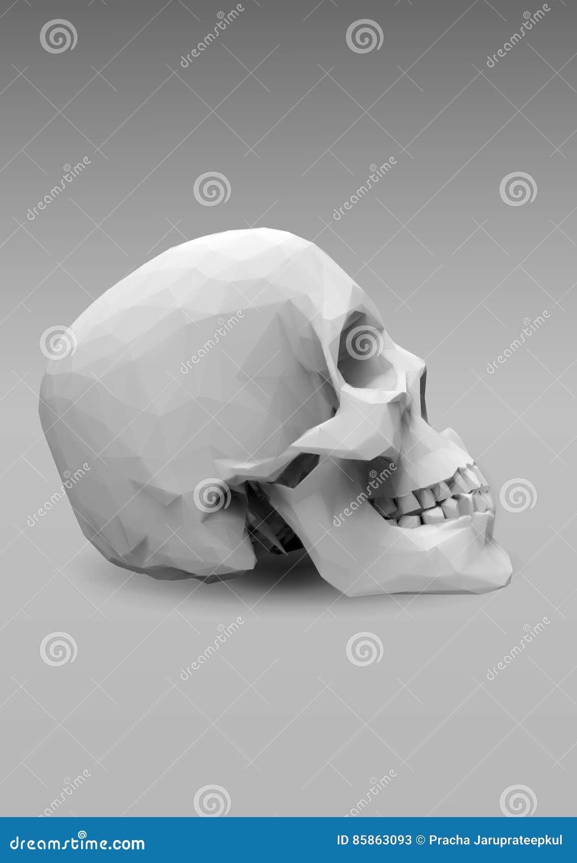 Low Poly Vector Skull in 3d Realistic Look Stock Vector - Illustration ...
