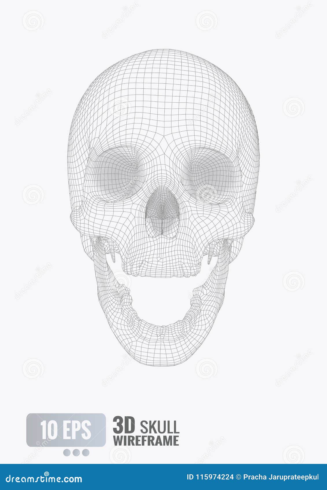 Low Poly Vector Skull Front View in 3D Monochrome Wireframe Stock ...