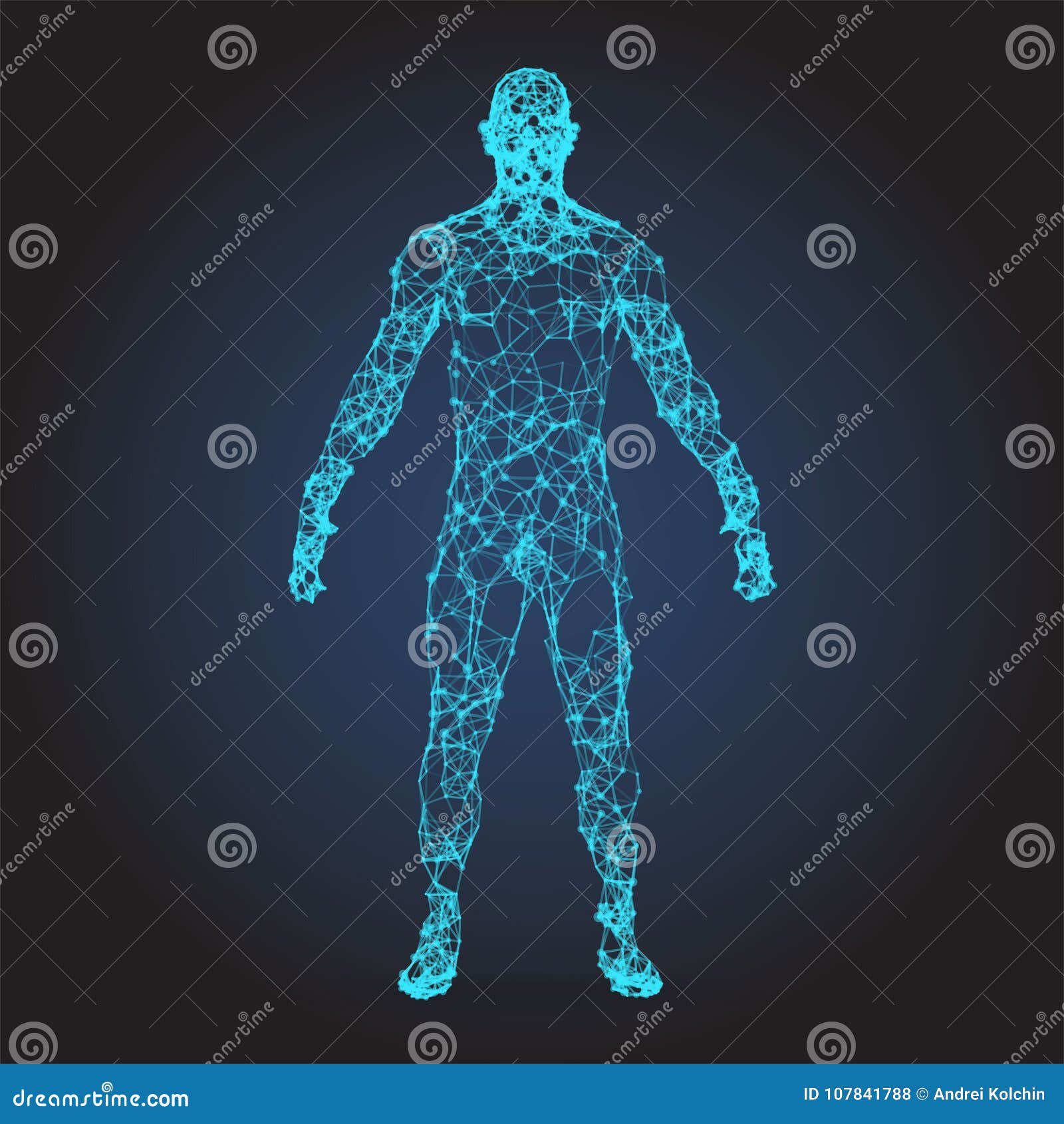 Low Poly Wireframe Human Body. Abstract Illustration Stock Vector ...