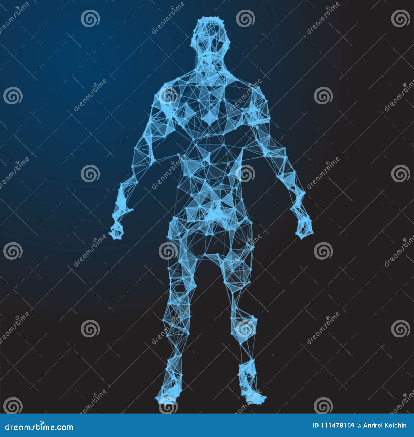 Low Poly Wireframe Human Body. Abstract Illustration Stock Vector ...