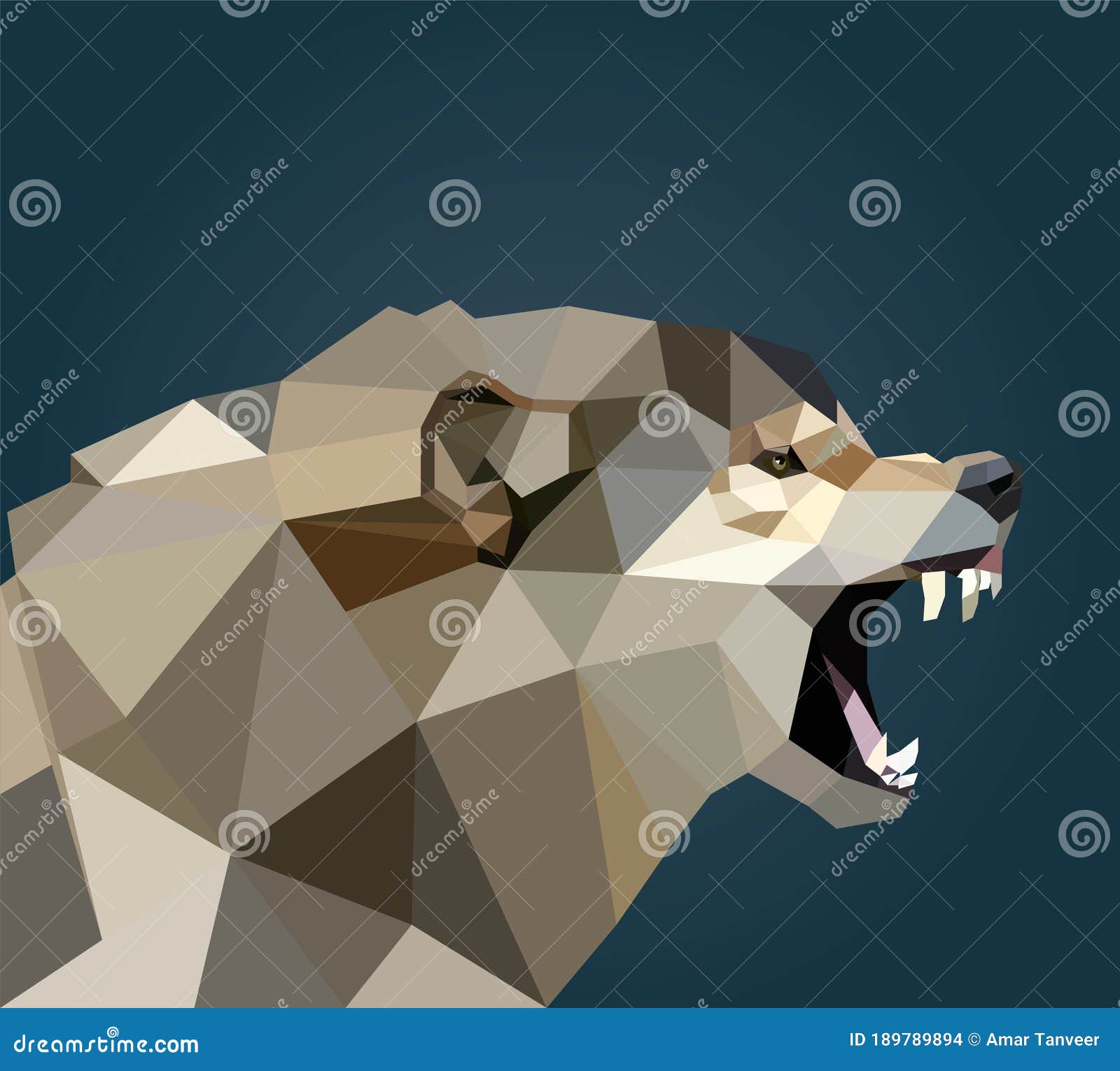 Low Poly Wolf Drawing. Vector Illustration | CartoonDealer.com #138749248