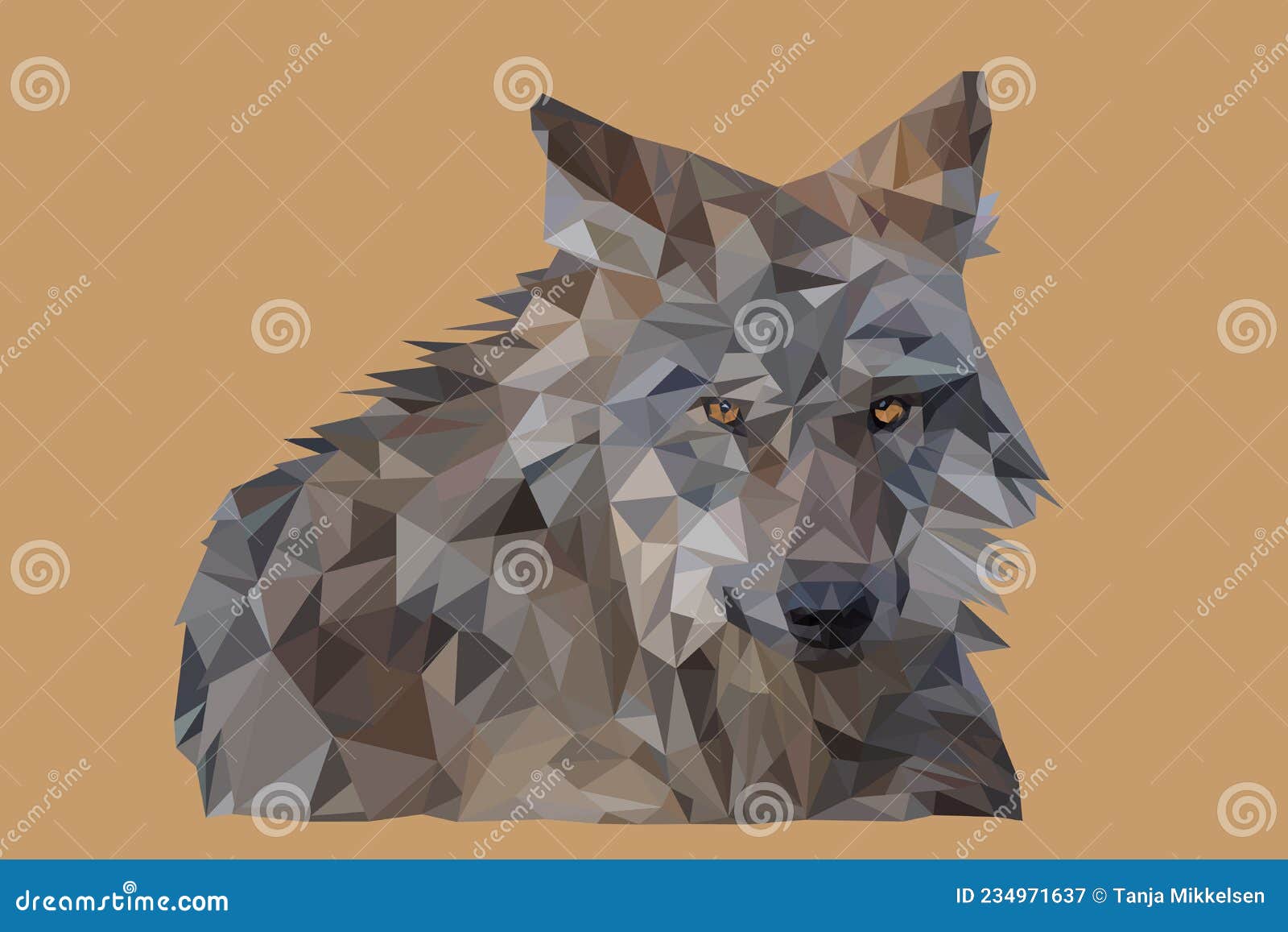 Low Poly Wolf stock image. Illustration of drawn, graphic - 234971637