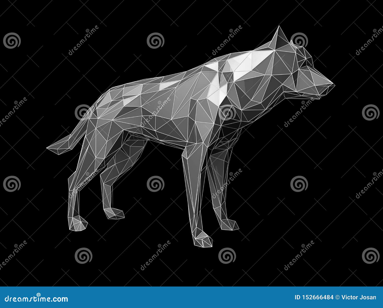 Low Poly Wolf Portrait. Abstract Polygonal 3d Illustration. Stock ...