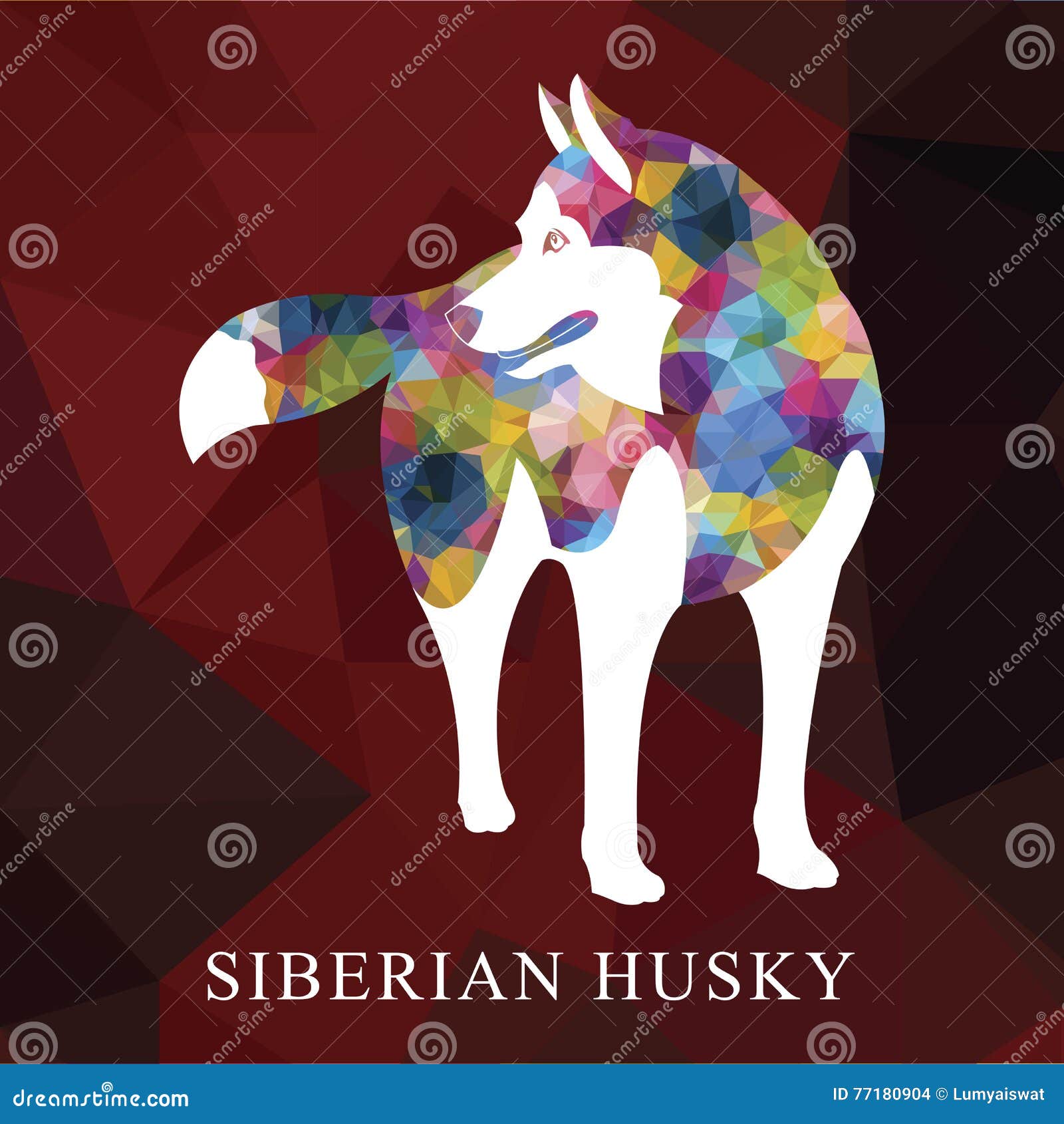 Low Polygon Siberian Husky Design. Vector Illustration. Stock Vector ...