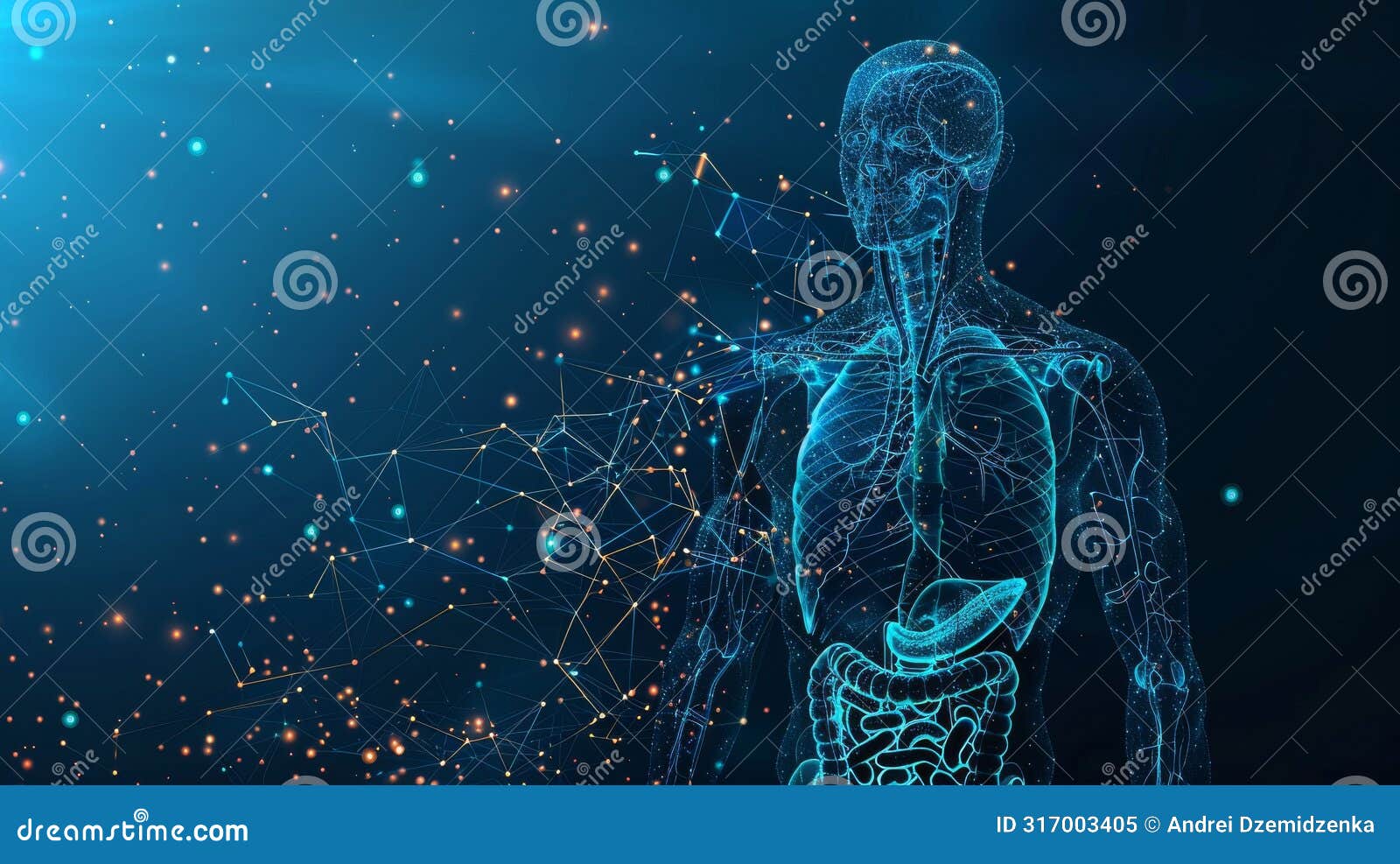 Low Polywireframe of an Abstract Isolated Human Body on a Blue ...