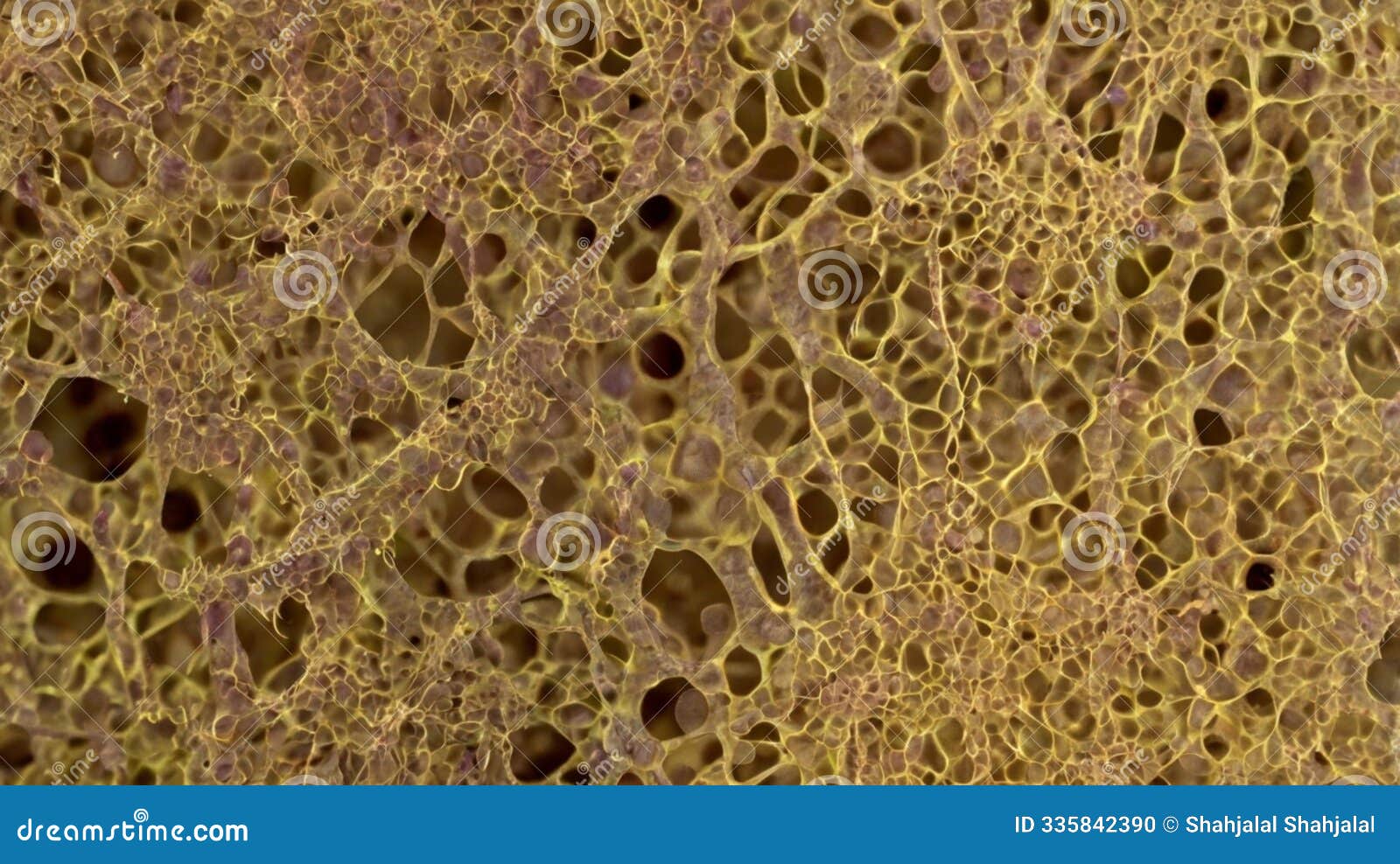 Diaphragm Cell Diagram For Manufacturing Chlorine Royalty-Free Stock ...