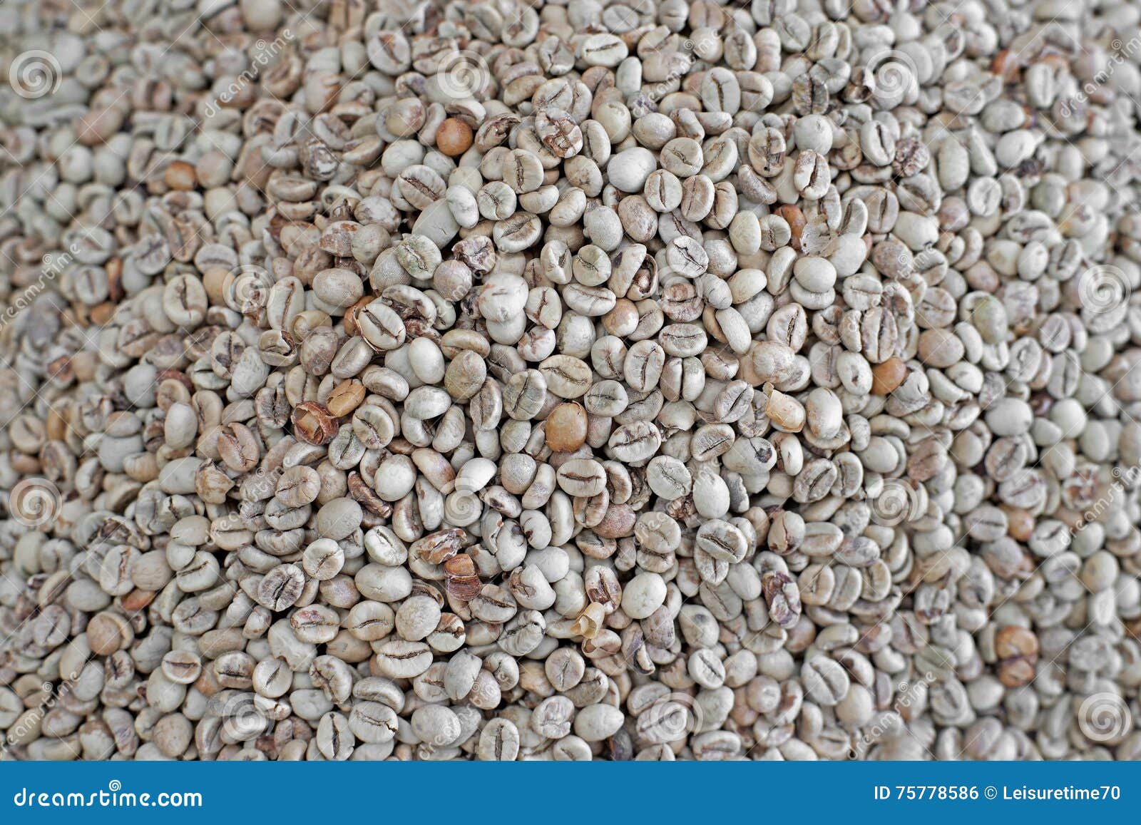Low quality coffee beans stock photo. Image of cafeteria - 75778586