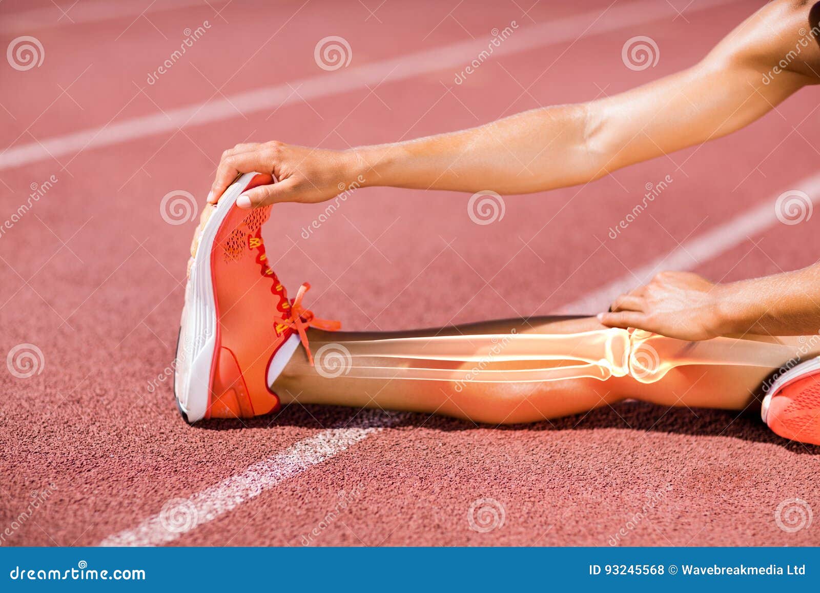 Female Athlete Stretching Track Stock Images - Download 1,162 Royalty ...