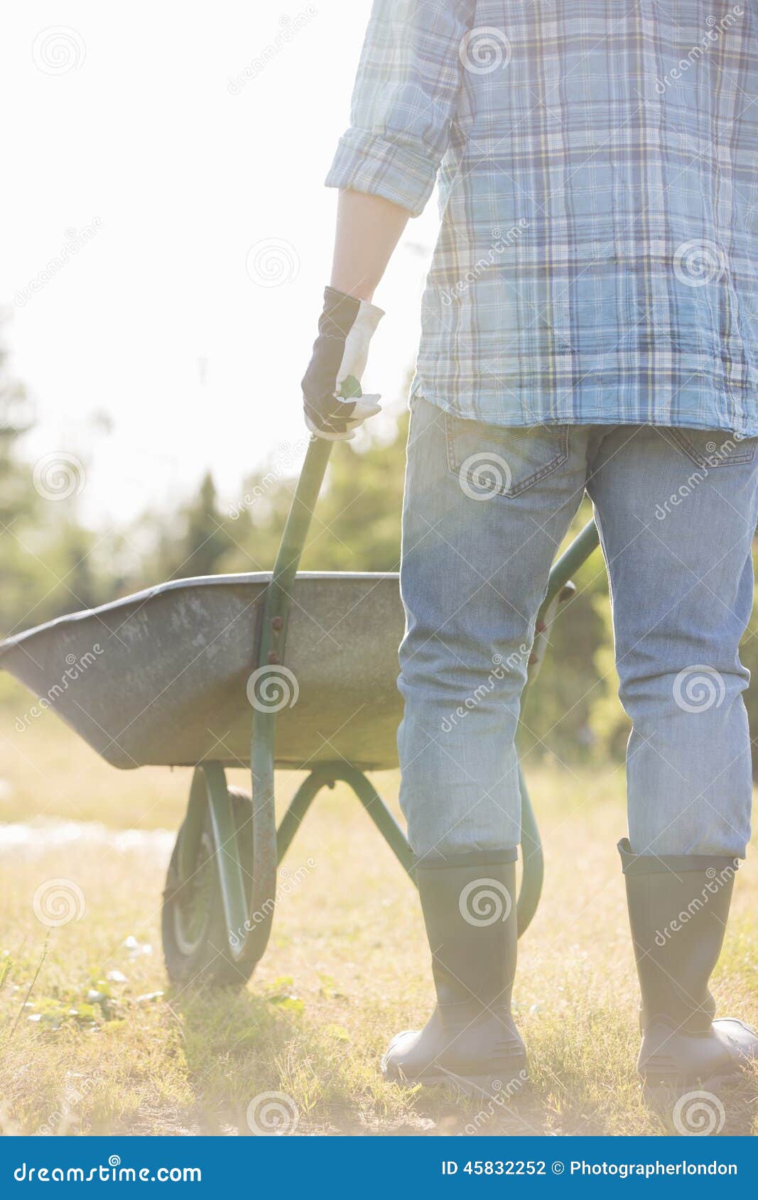 Low Section Rear View of Man Pushing Wheelbarrow at Garden Stock Photo ...