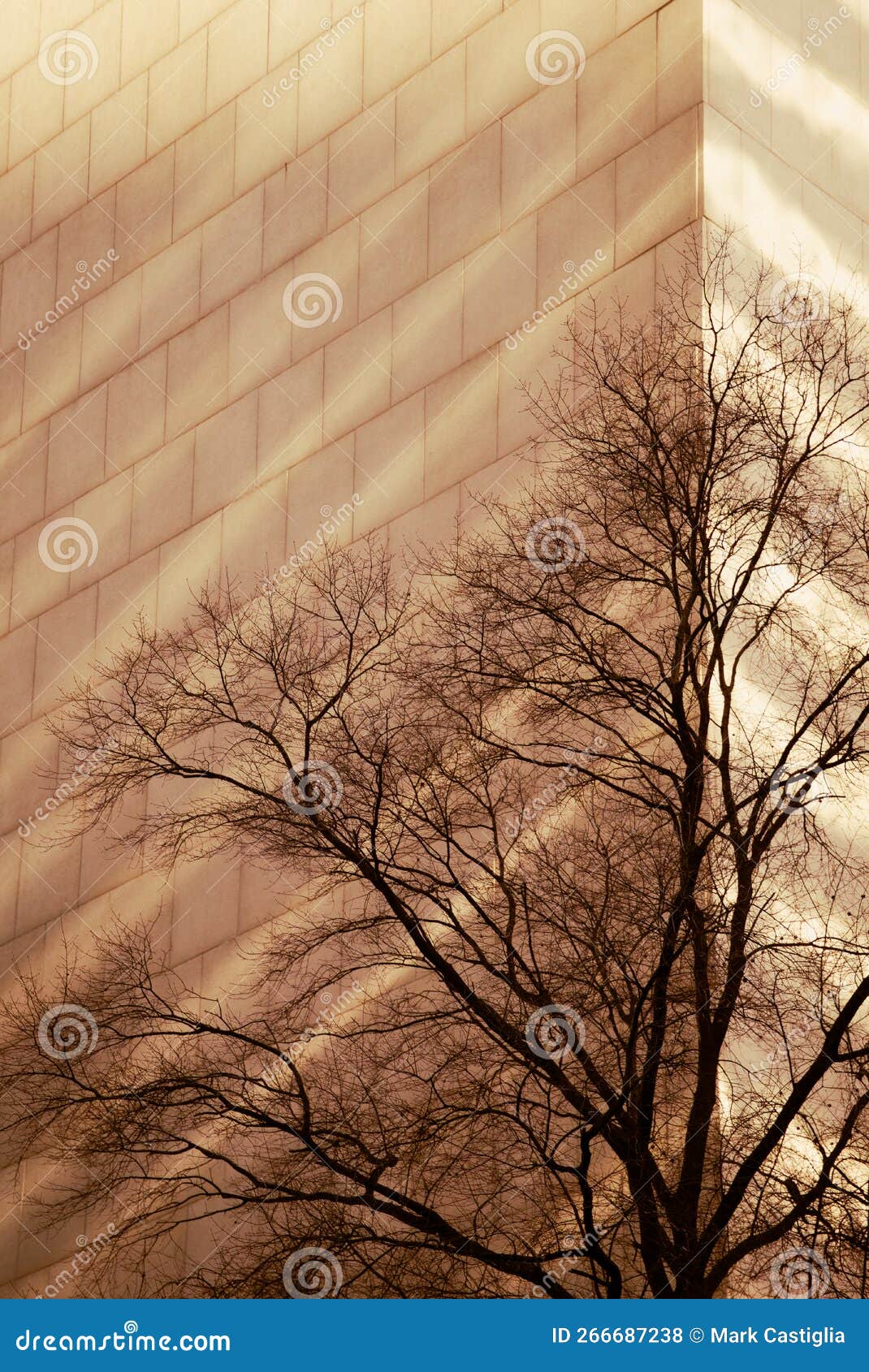 Low Shadows Fall on Masonry Building in Charlotte, North Carolina with ...