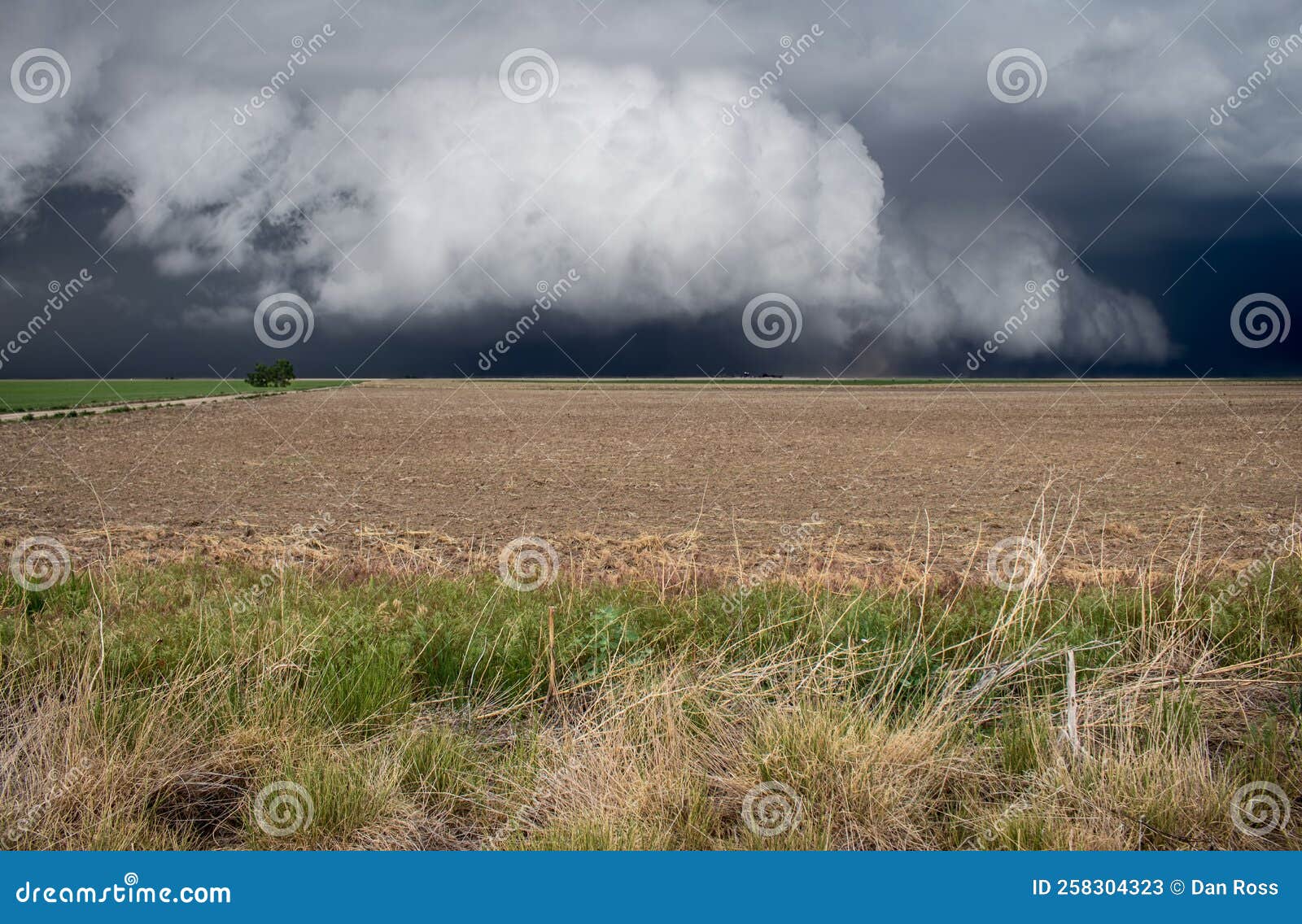 A Low Shelf Cloud Under a Thunderstorm almost Touches the Ground Over a ...