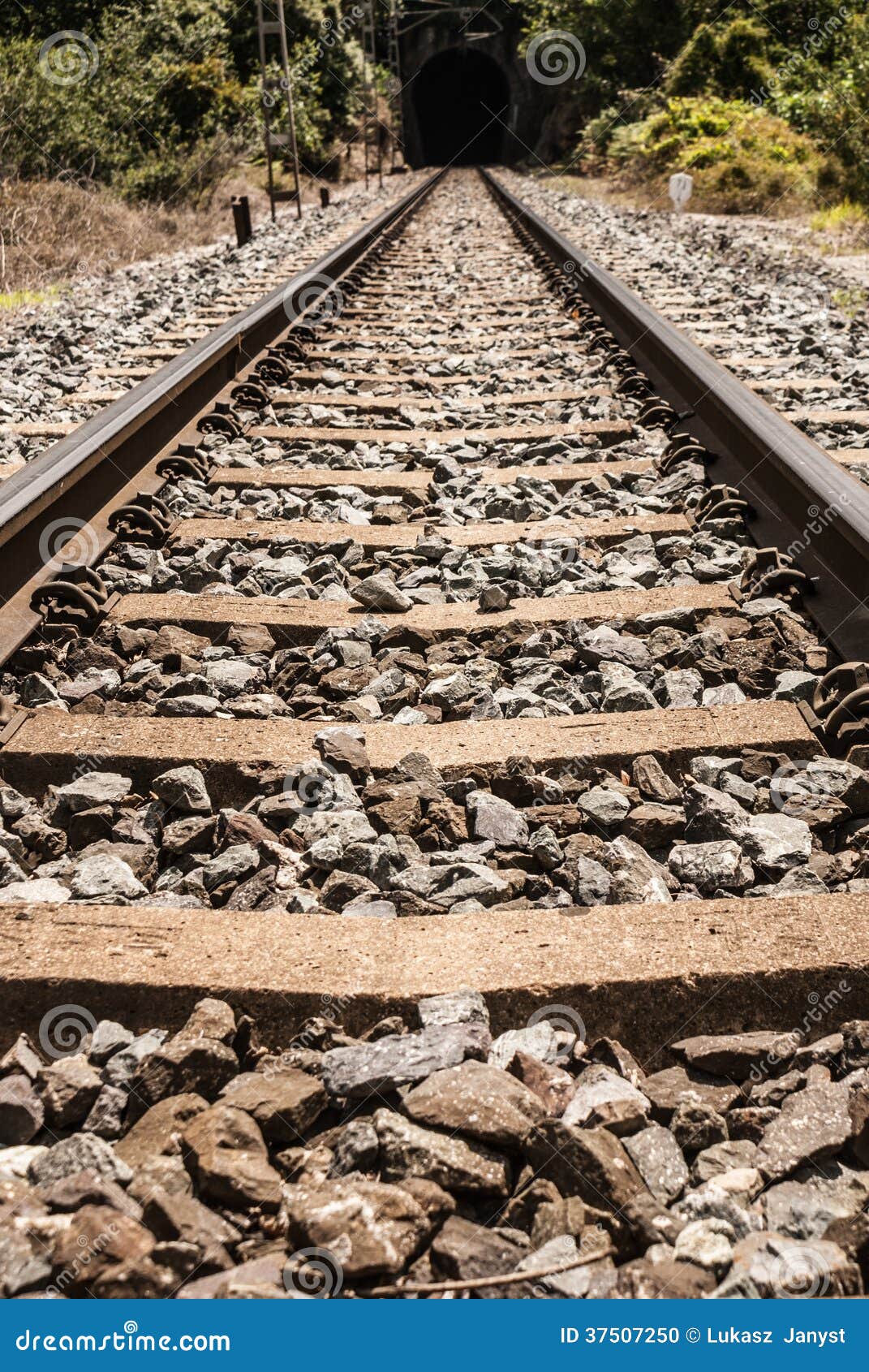 Cog Railway Also Called As Rack Railway Or Rack And Pinion Railway ...