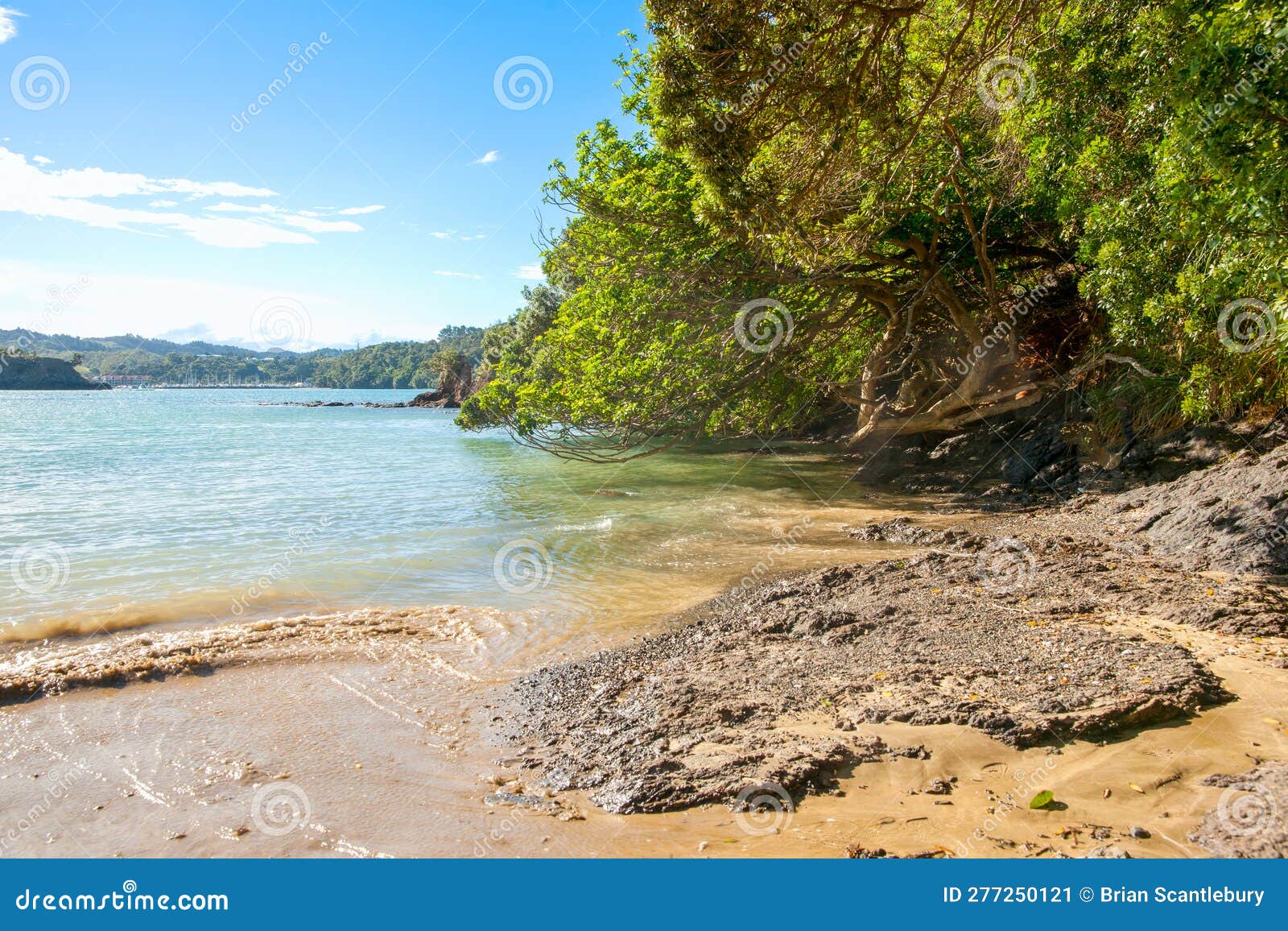 The Rocky Foreshore And Sandy Beach With Bamburgh Castle In The ...