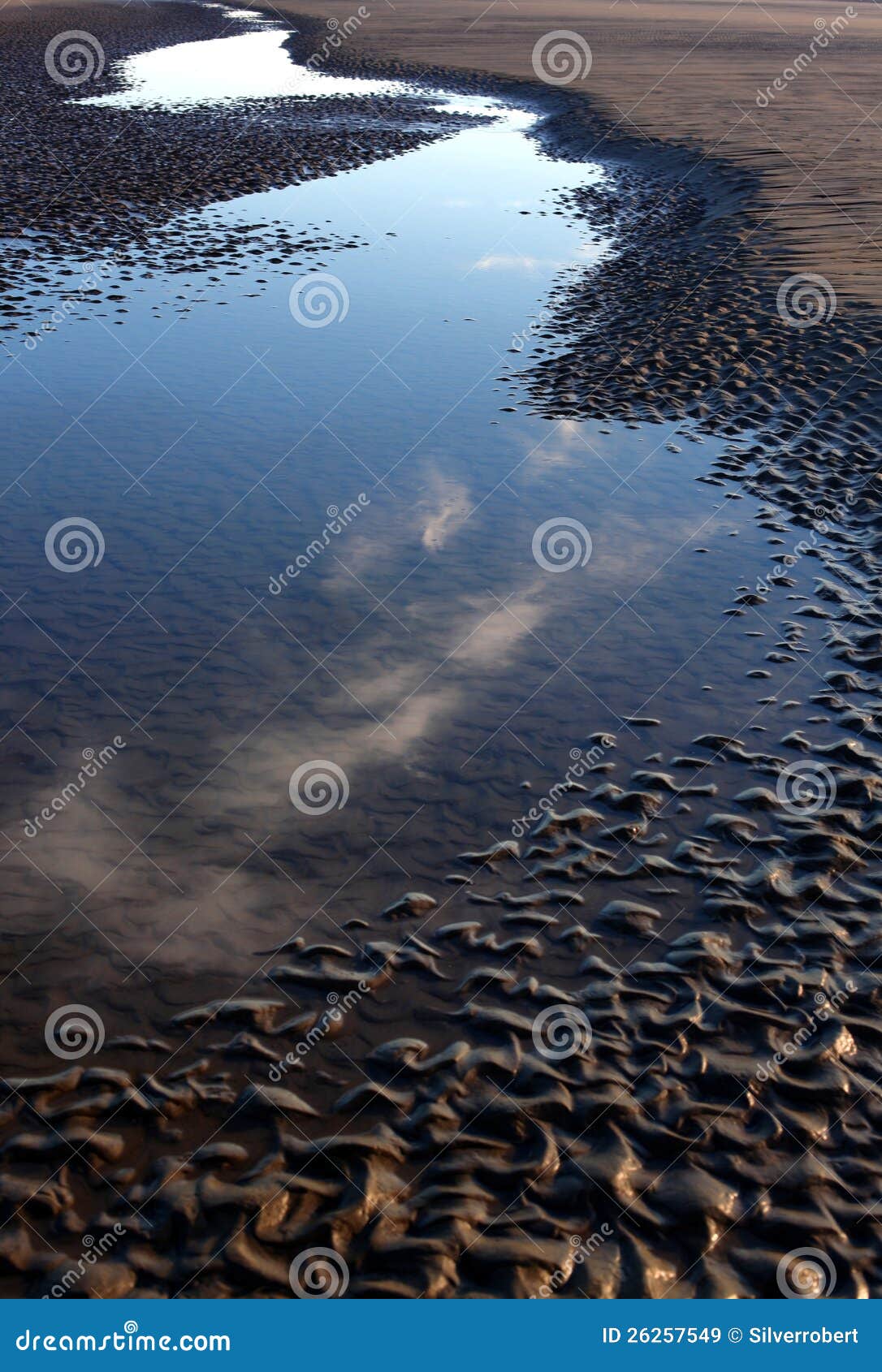 Low Tide stock image. Image of holiday, alone, reflection - 26257549
