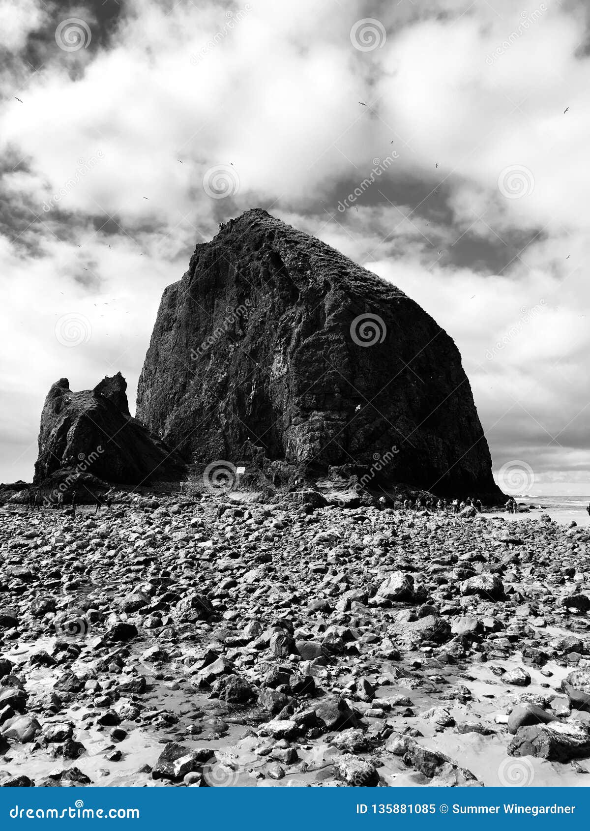 Low tide haystack rock stock image. Image of haystack - 135881085