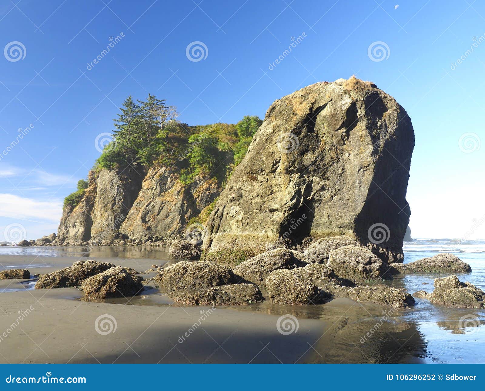 Low Tide at Ruby Beach, Washington Stock Photo - Image of reflections ...