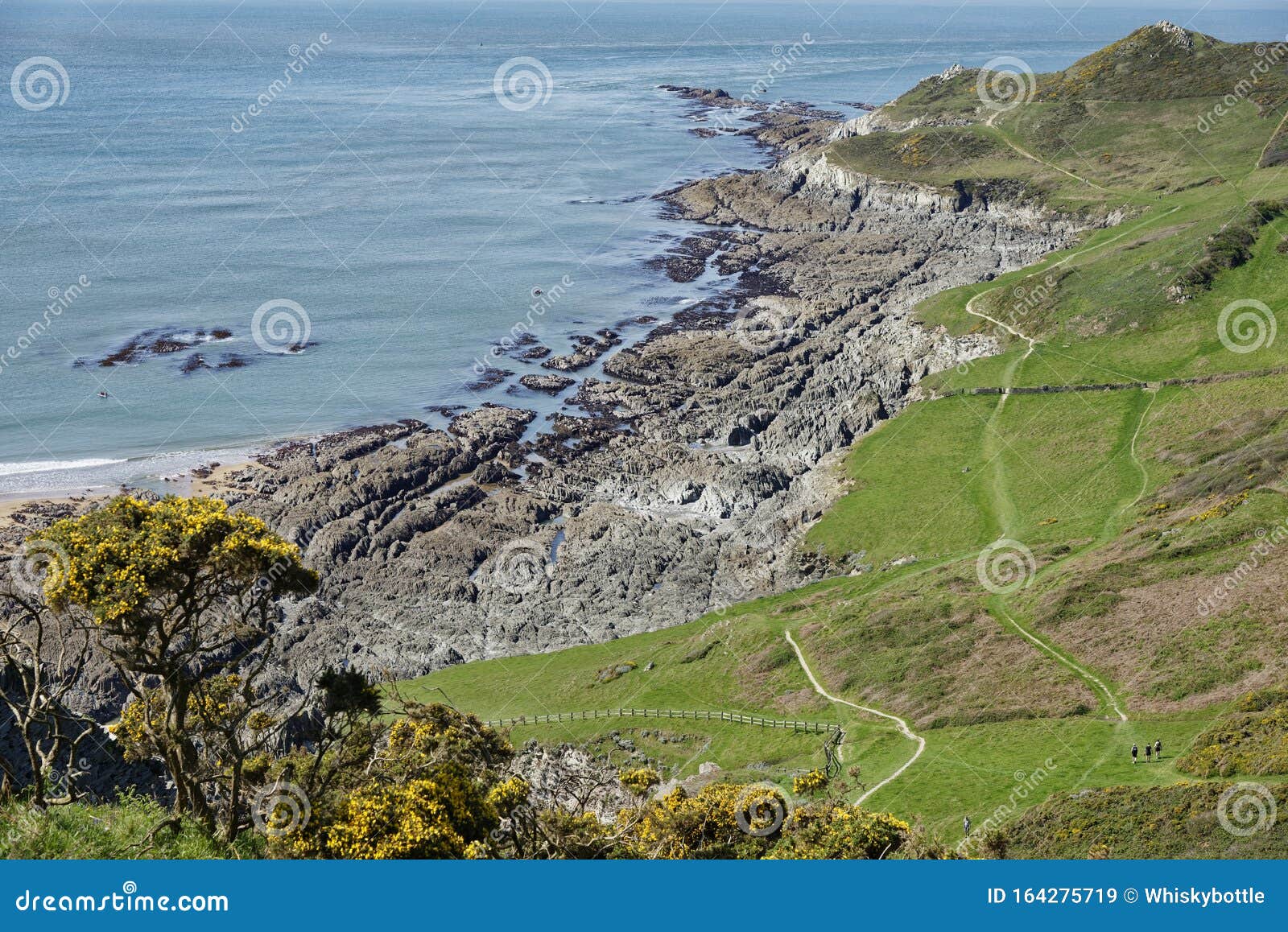 Low Tide at Morte Point stock image. Image of mortehoe - 164275719