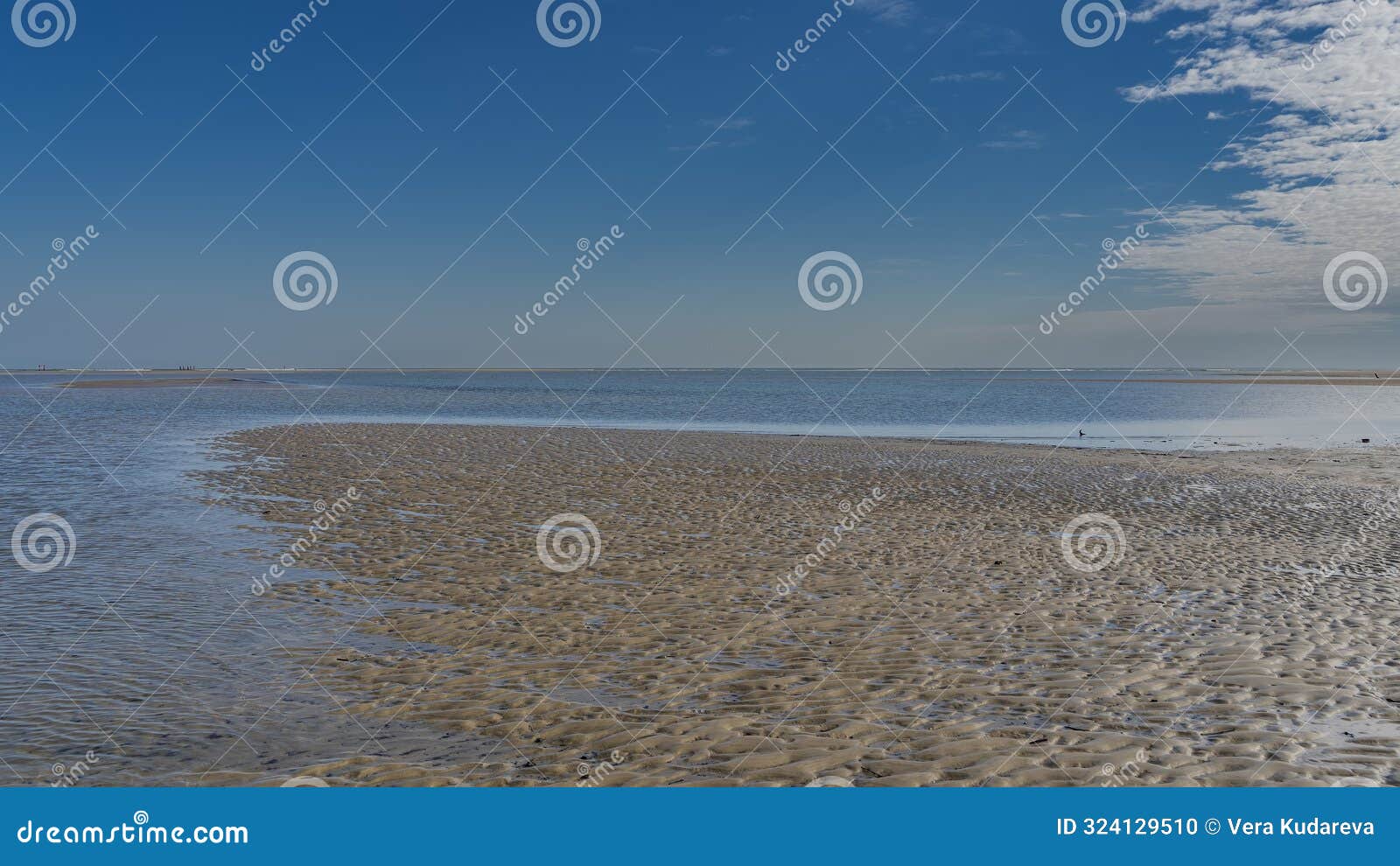 The Low Tide in the Ocean. a Bizarre Natural Pattern of Sandy Ridges ...