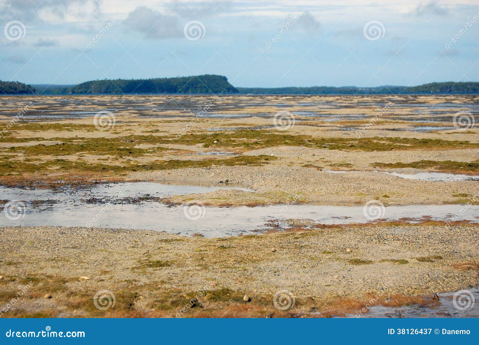 Low Tide Ocean Coast at South Pacific Stock Image - Image of tide ...