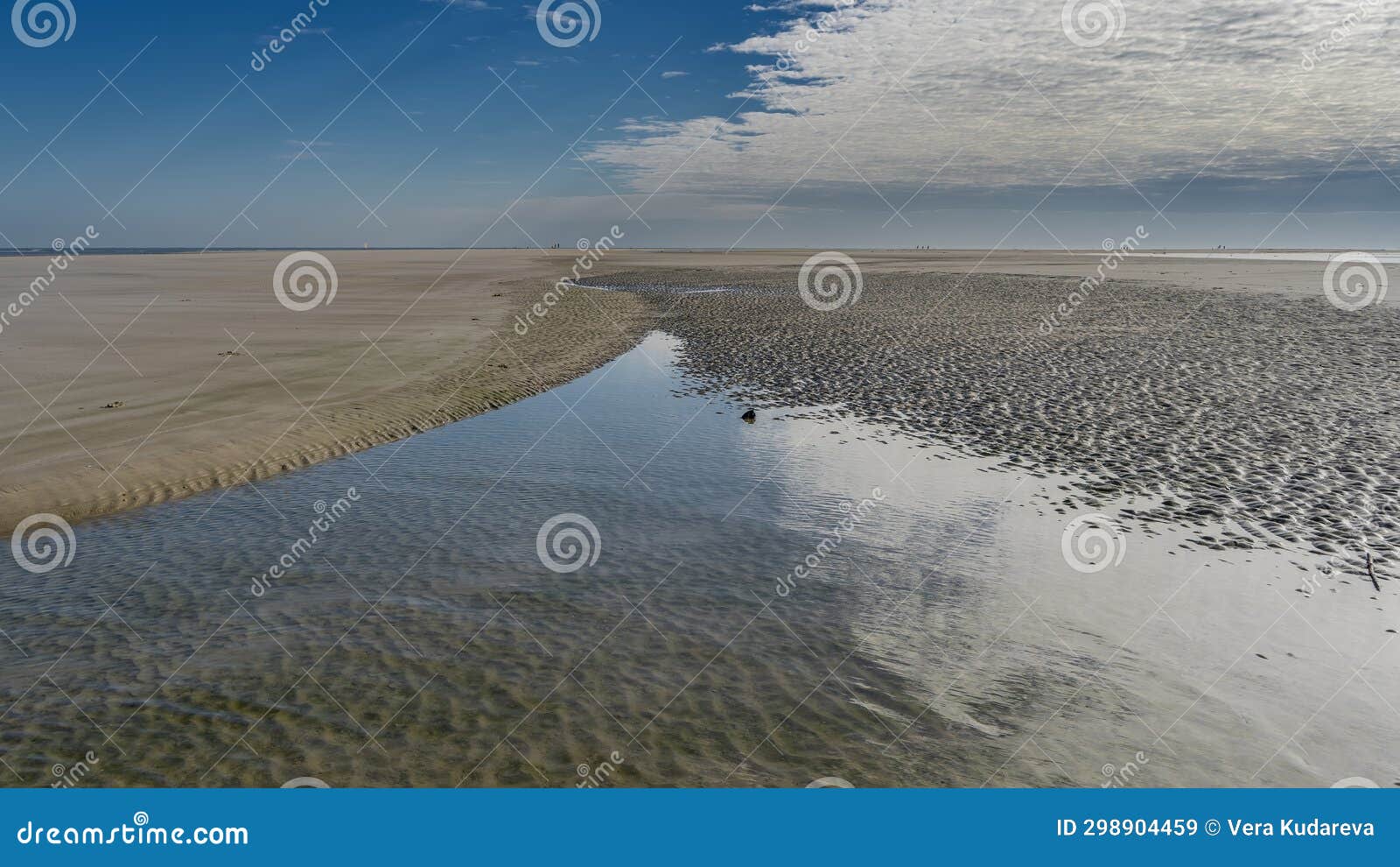 Low Tide on the Ocean. the Seabed with Undulating Sandy Ridges is ...