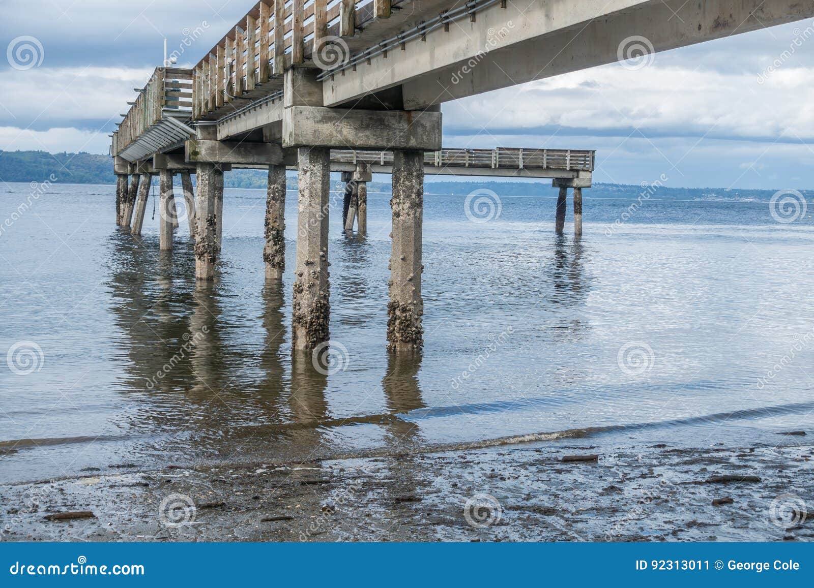 Low Tide and Pier 2 stock image. Image of water, state - 92313011
