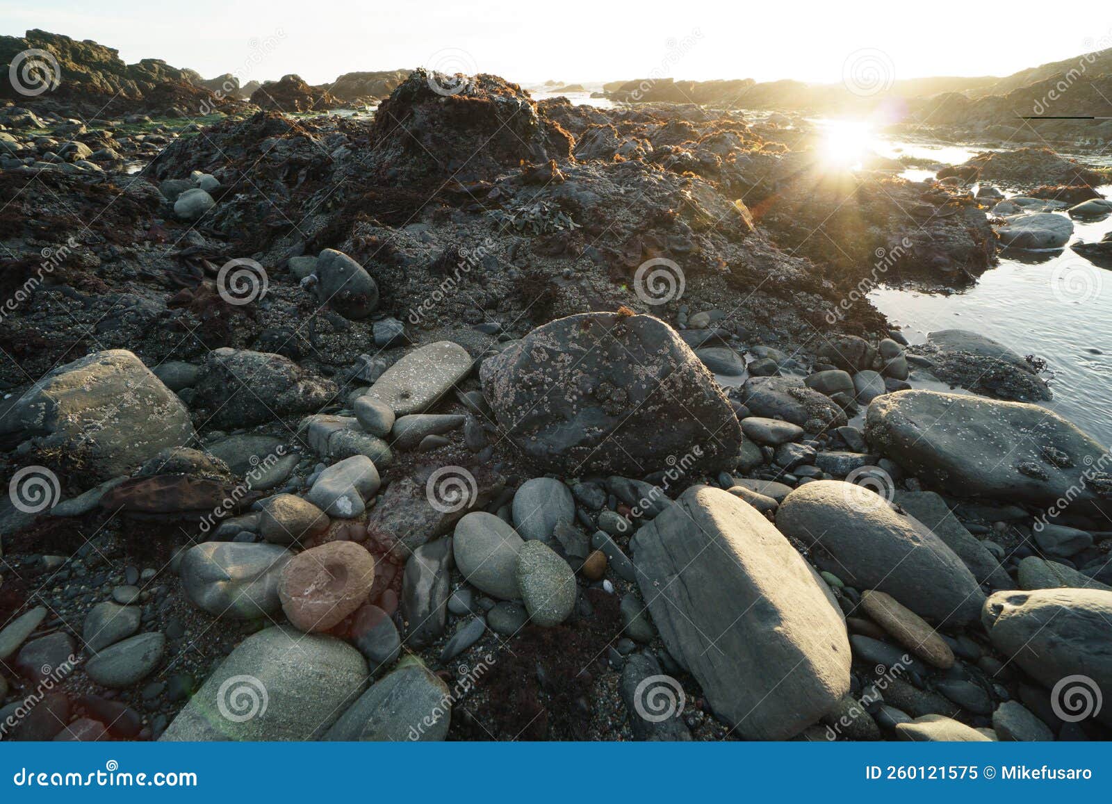 Low Tide Tide Pools Exposed at Sunset Stock Image - Image of travel ...