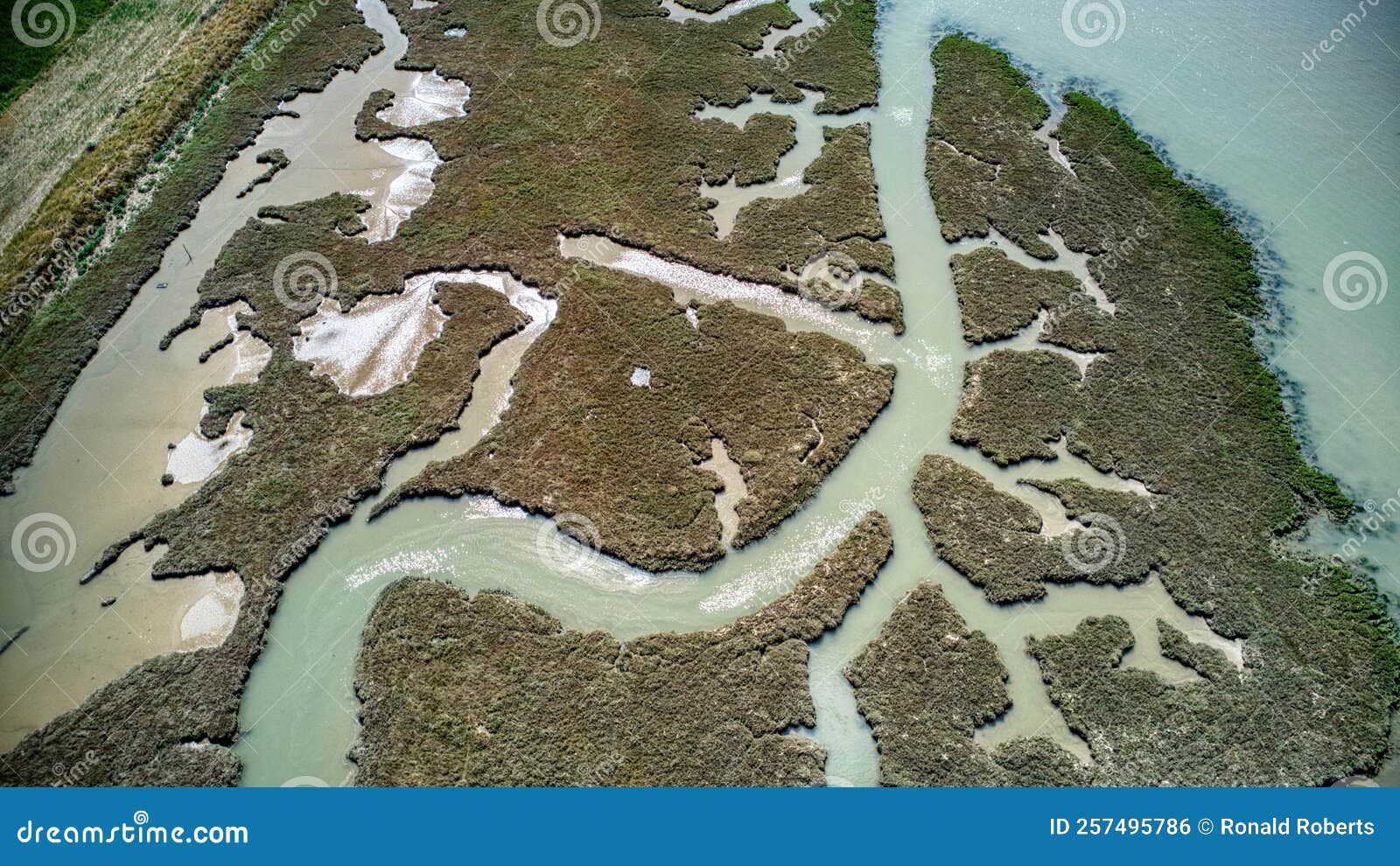 River Channels In The Okavango Delta Royalty-Free Stock Photography ...