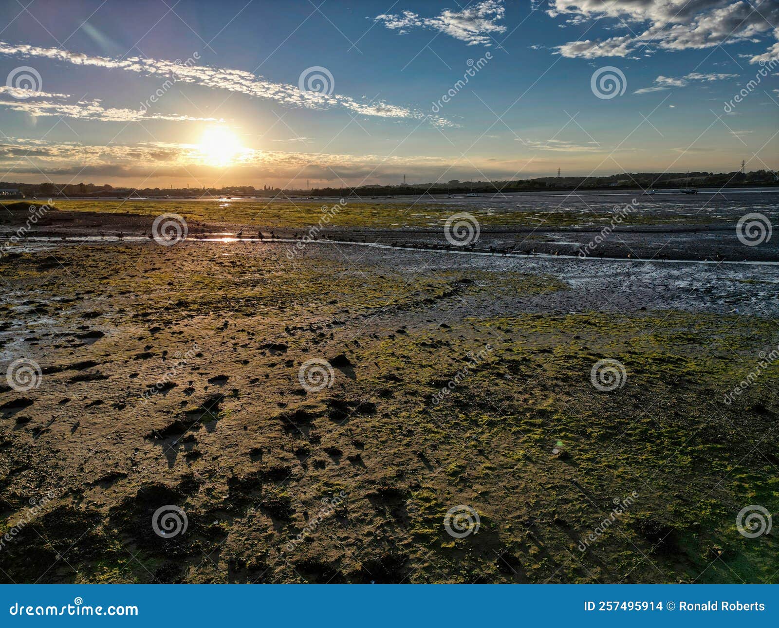 Low tide river at Dusk stock photo. Image of sunset - 257495914