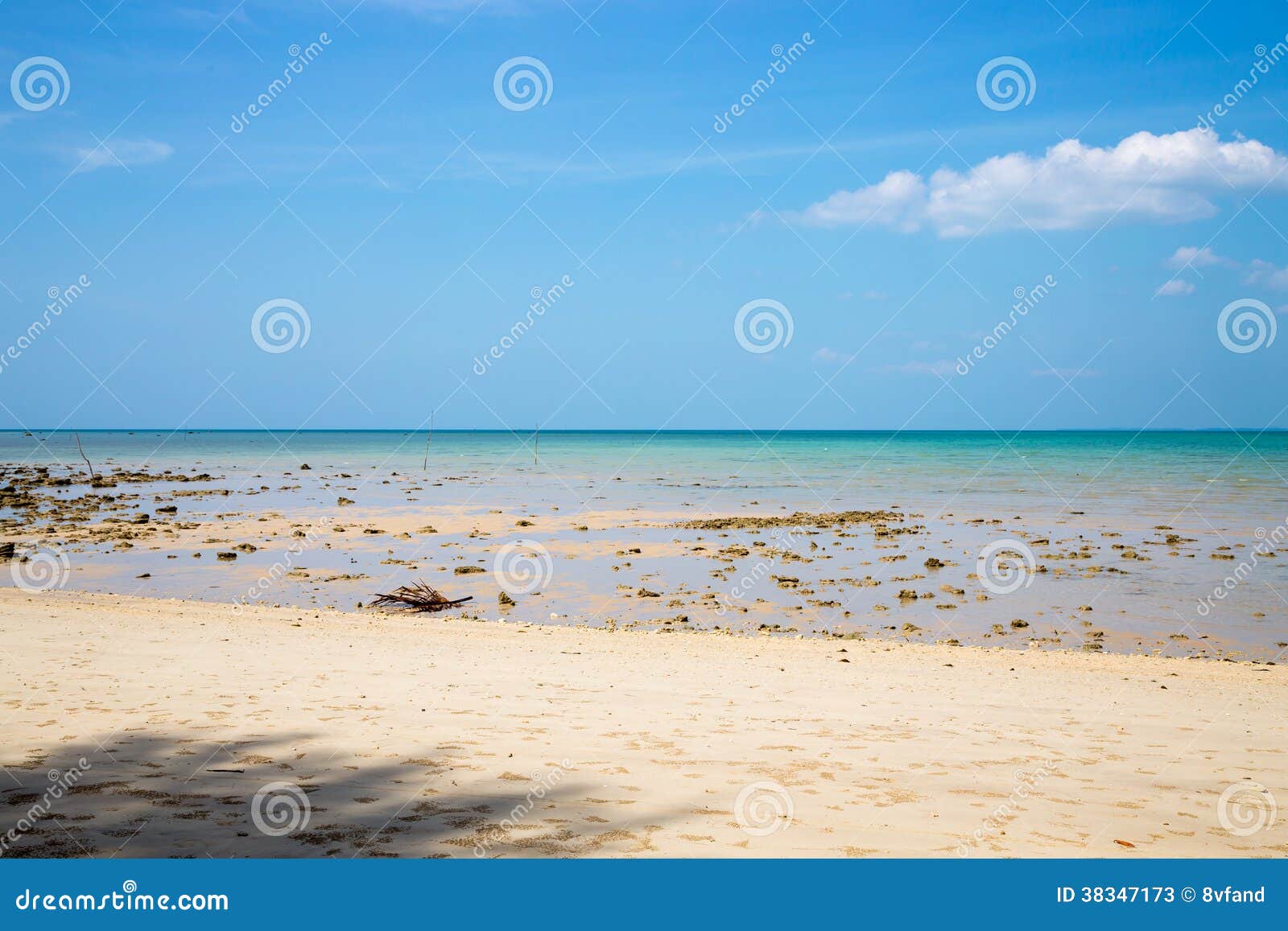 Low Tide on a Sandy Beach with Blue Sky Stock Image - Image of sandy ...