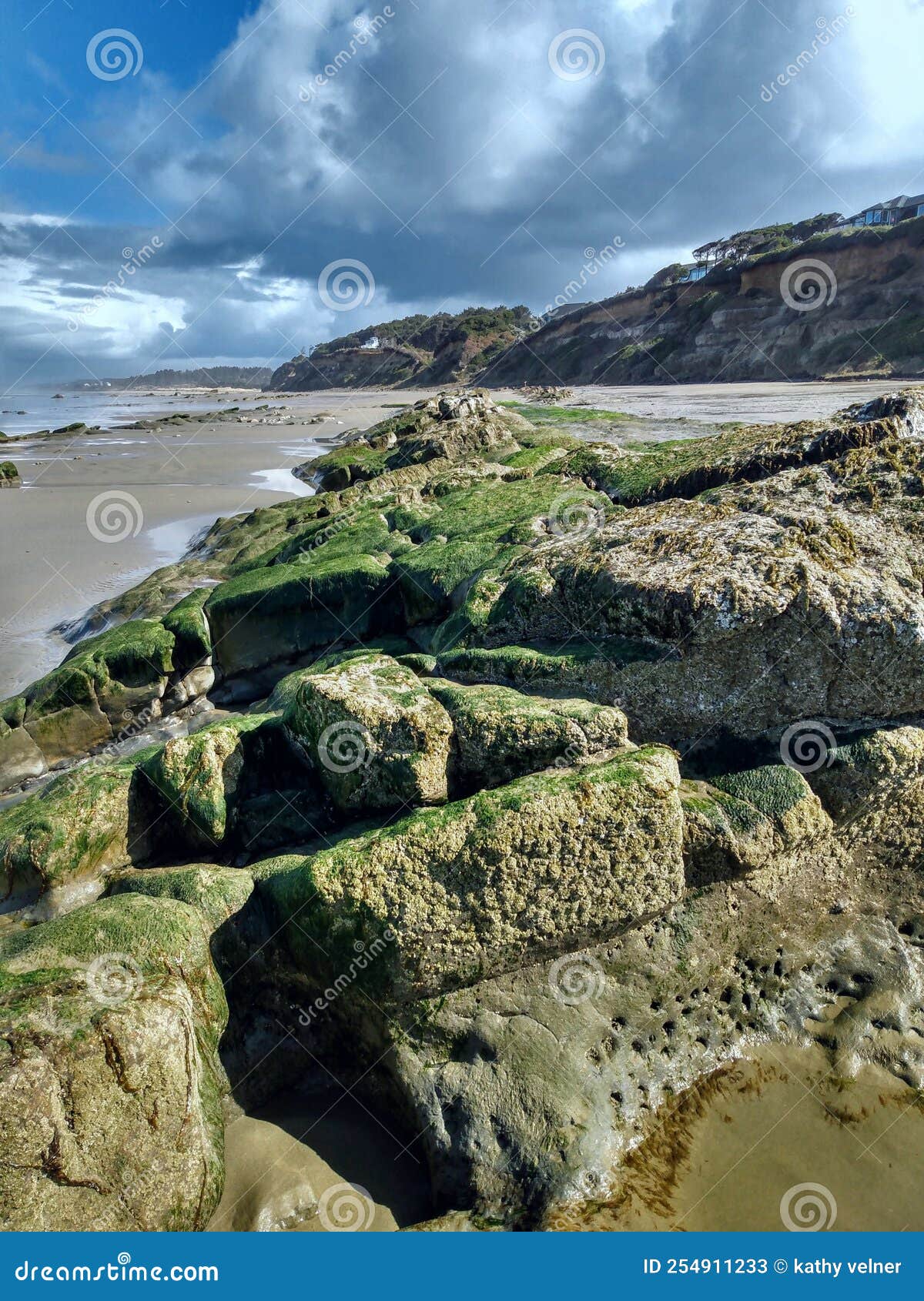 Rocky Revelations at Low Tide Stock Image - Image of landscape, nature ...