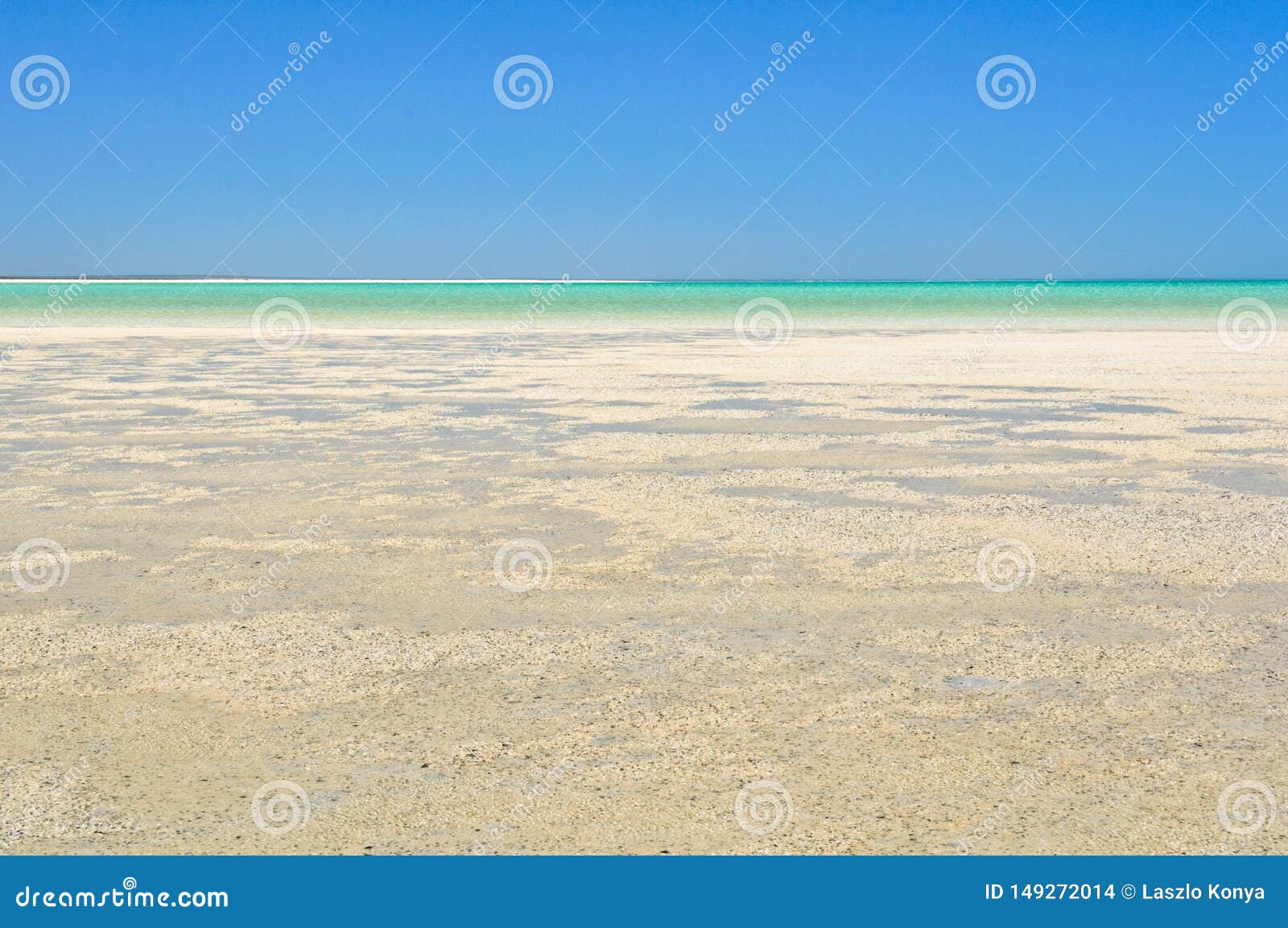 Shell Beach - Denham stock photo. Image of summer, western - 149272014