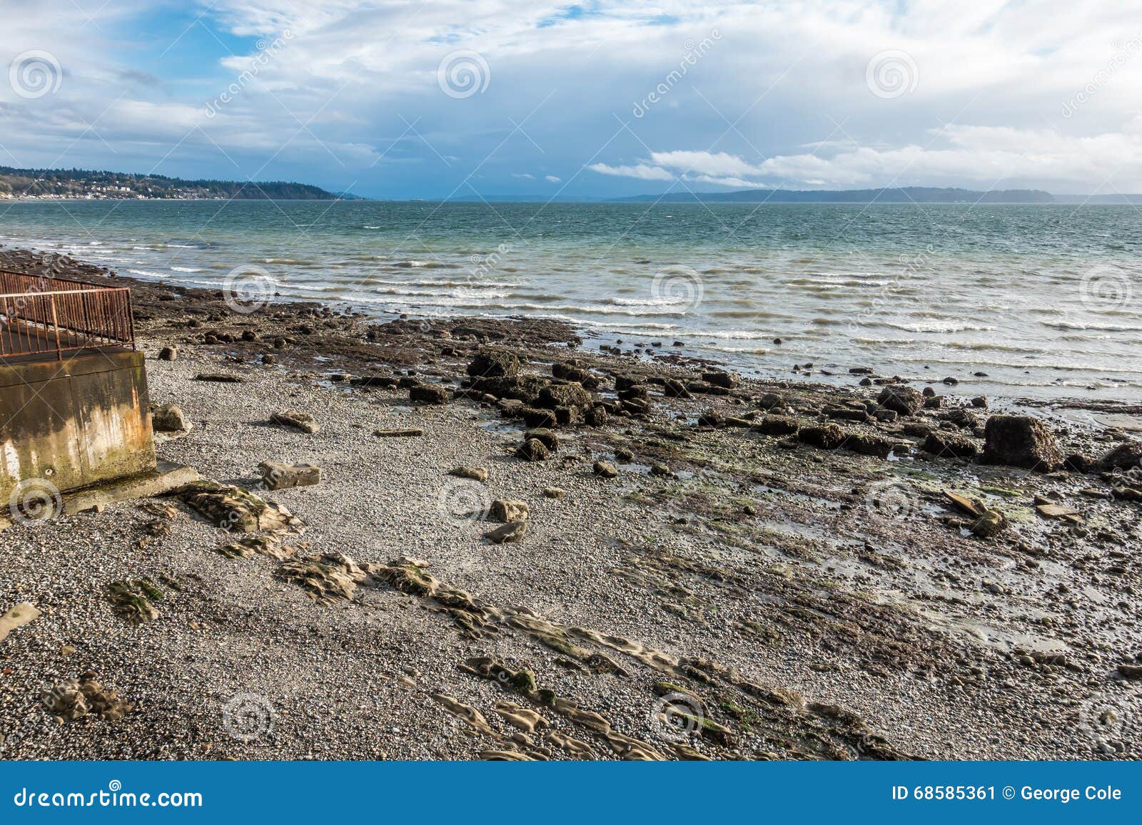 Low Tide Shoreline stock image. Image of northwest, sound - 68585361