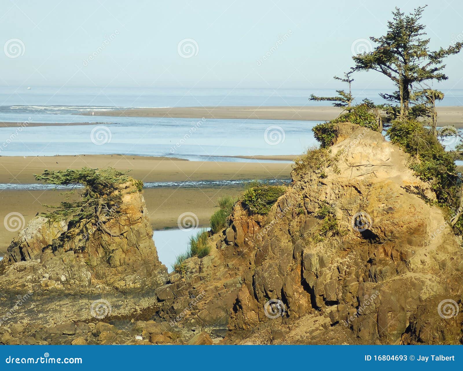 Low tide tree stock image. Image of beach, rocks, roots - 16804693