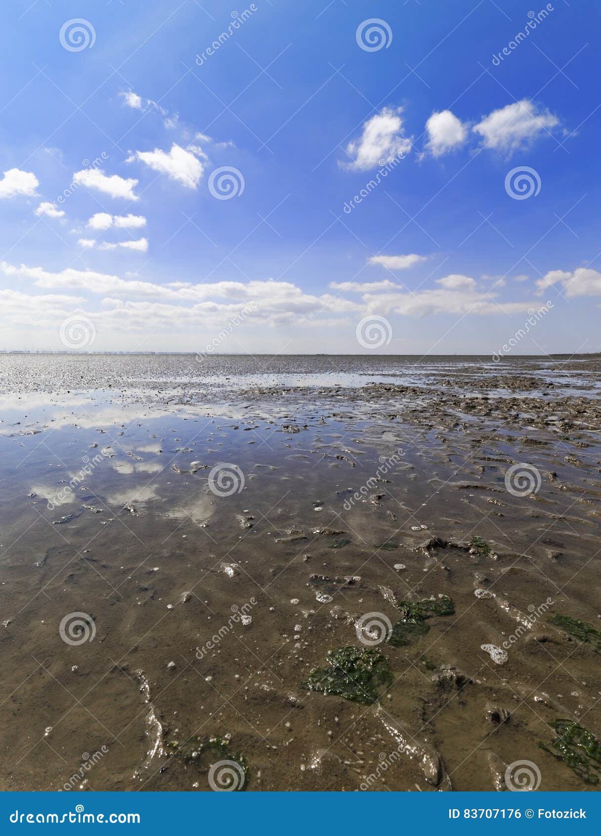 Low Tide in Watts on the North Sea Stock Photo - Image of coast, watt ...