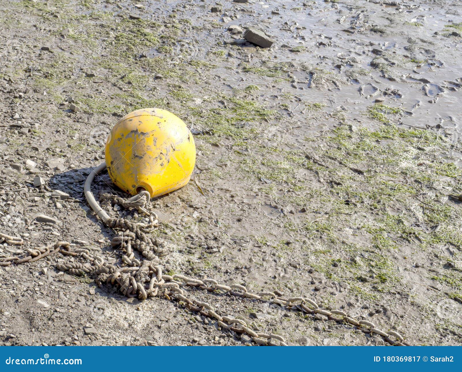 Buoy Chains Royalty-Free Stock Photo | CartoonDealer.com #27669999