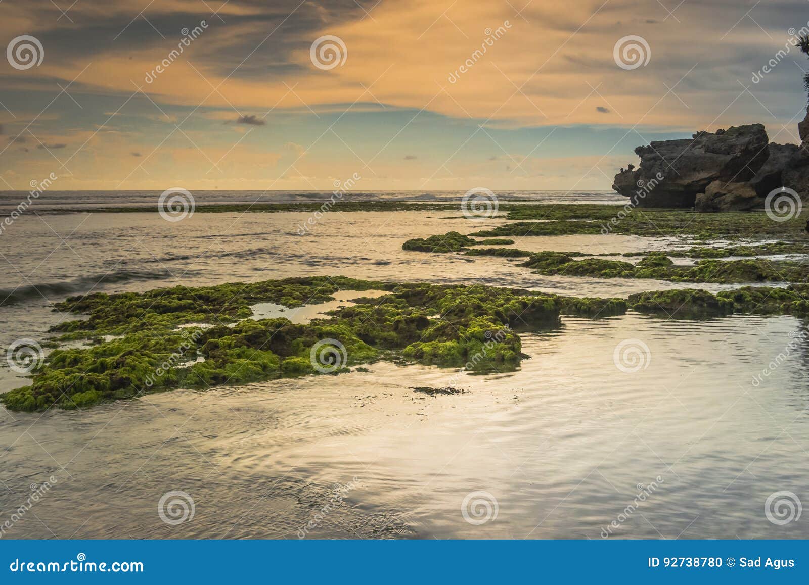 Low Tide stock photo. Image of water, weather, shoreline - 92738780