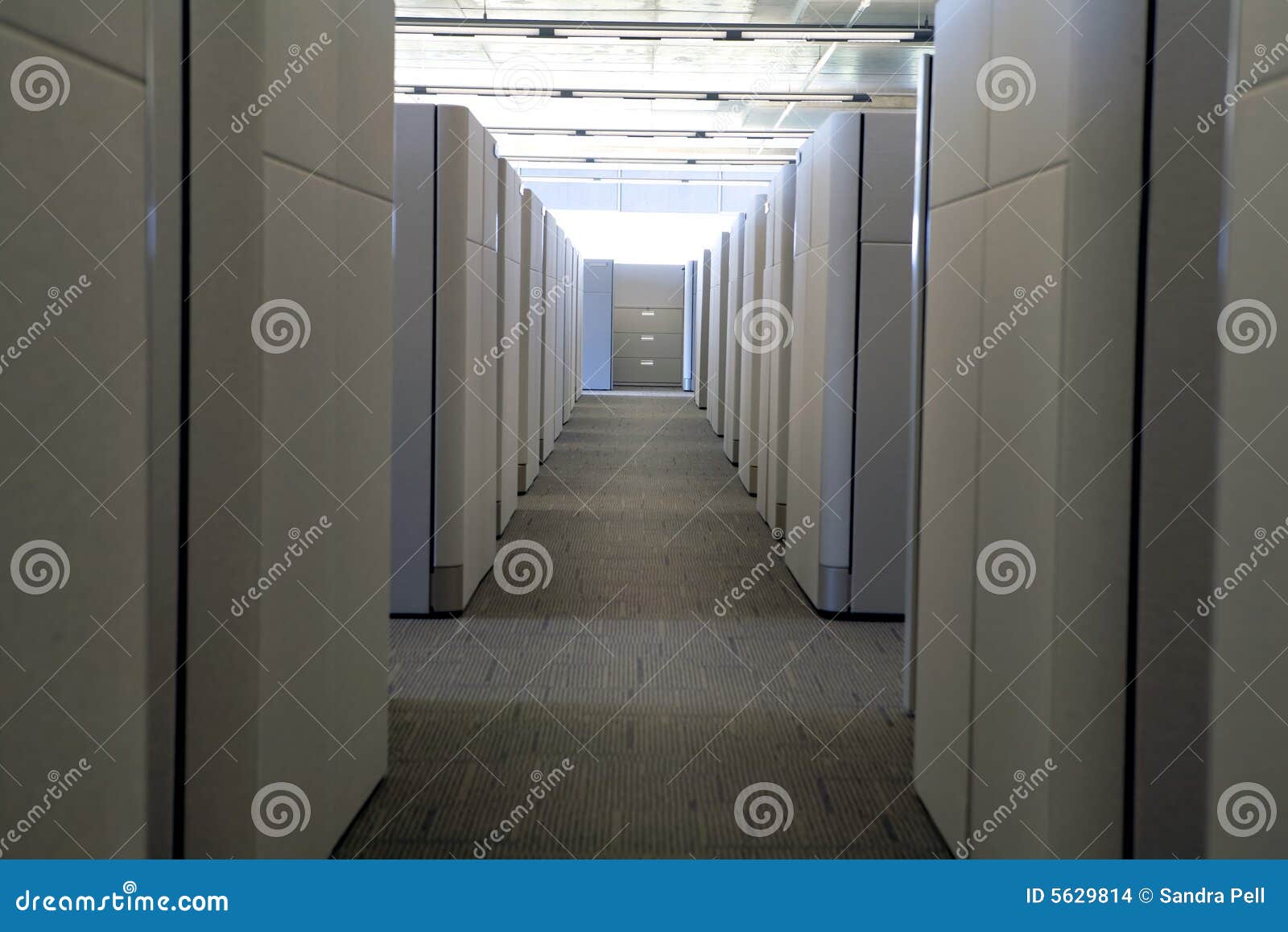 Low View of Clean Modern Office Hallway of Cubicle Stock Photo - Image ...