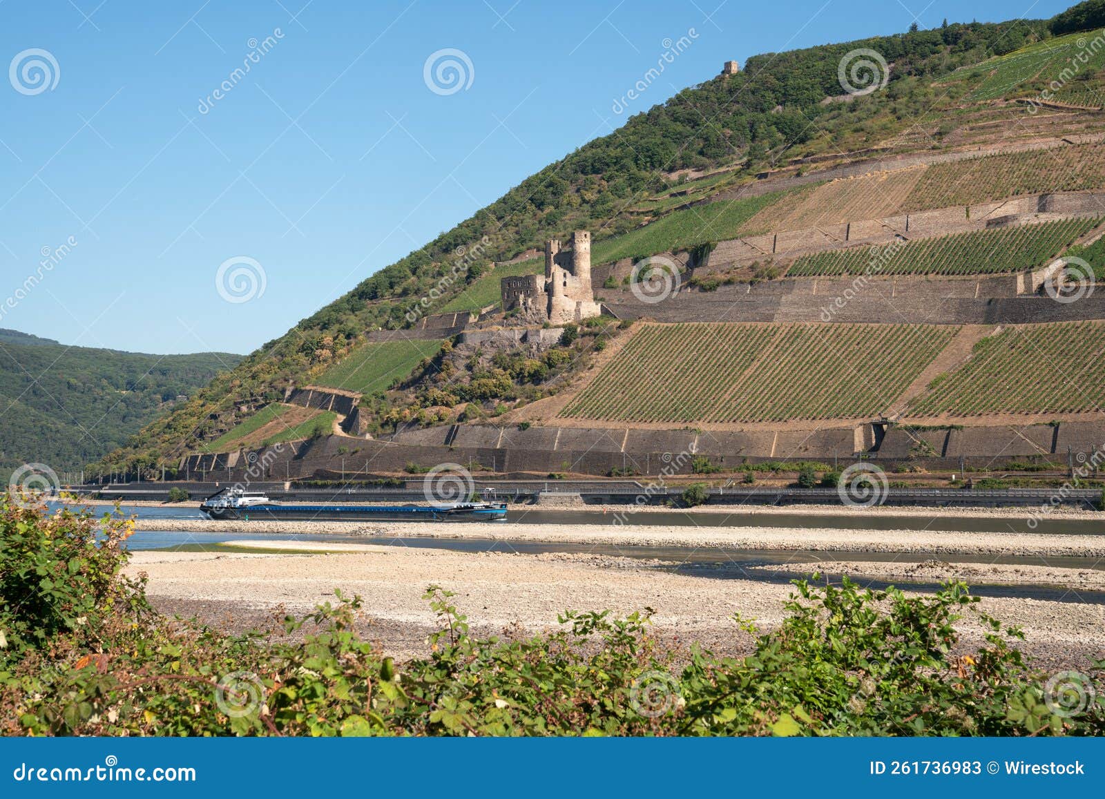 Low Water on the Rhine River during a Drought in Bingen, Germany Stock ...