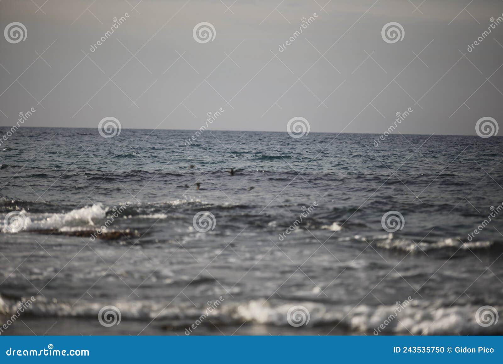 Low Waves on the Shore of a Beach High Quality Stock Photo - Image of ...