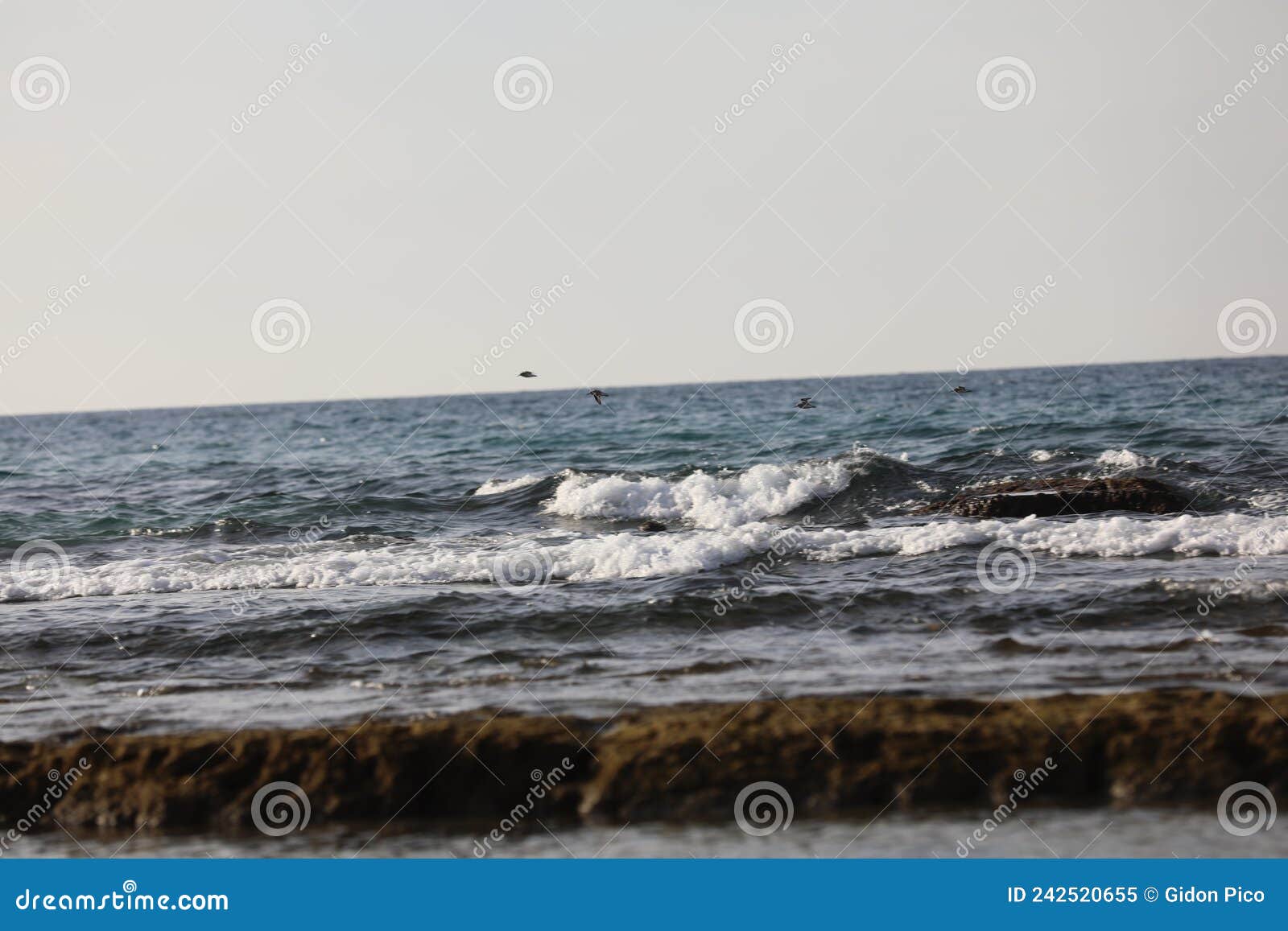 Low Waves on the Shore of a Beach High Quality Stock Image - Image of ...