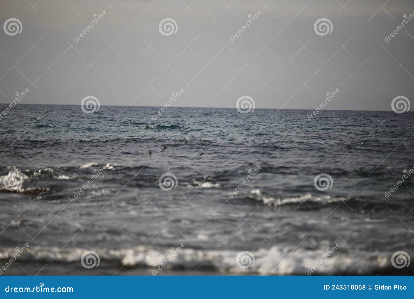 Low Waves on the Shore of a Beach High Quality Stock Photo - Image of ...